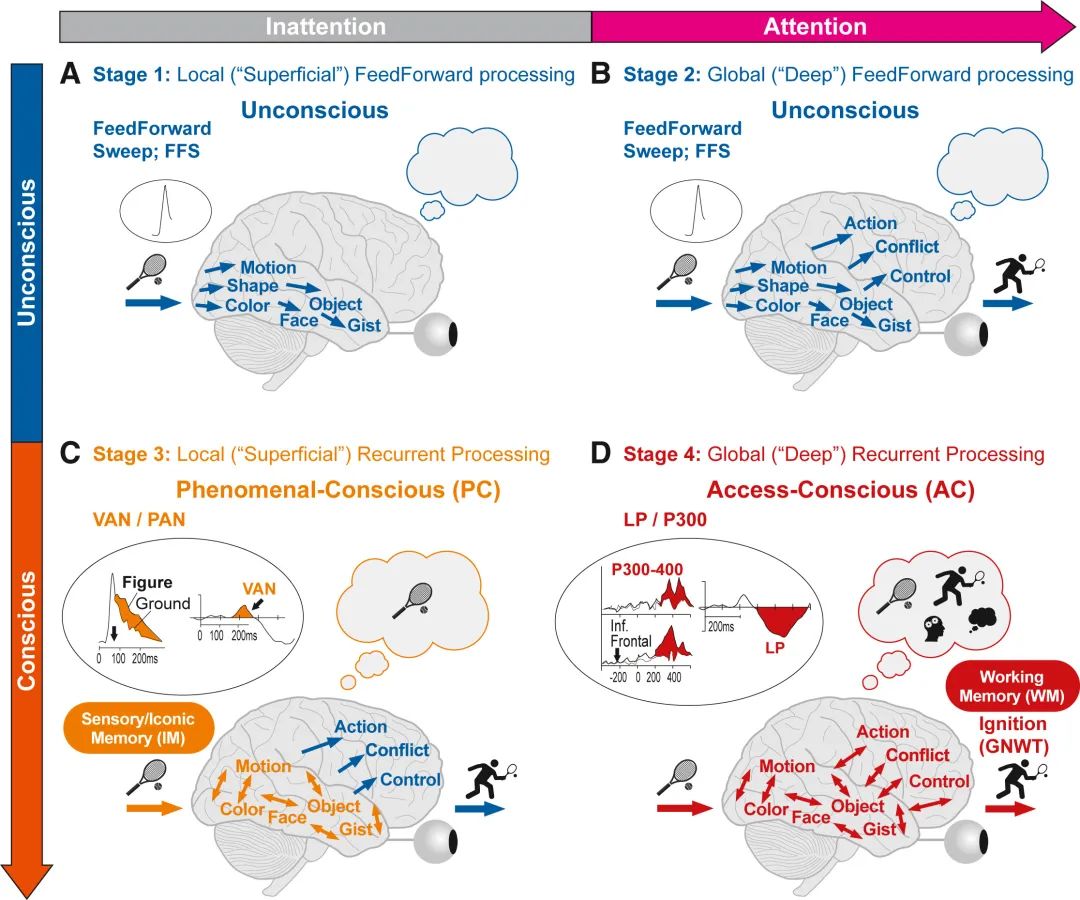 万字长文：意识的大一统理论要来了吗？ - 智源社区