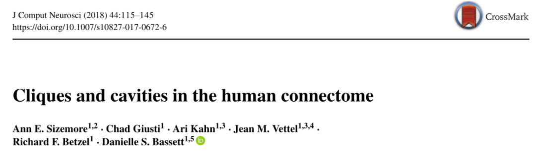 脑网络中的高阶拓扑结构 - 智源社区