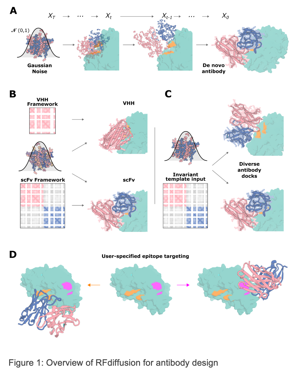 重磅！David Baker团队又一突破：首次利用生成式AI设计出全新抗体 - 智源社区