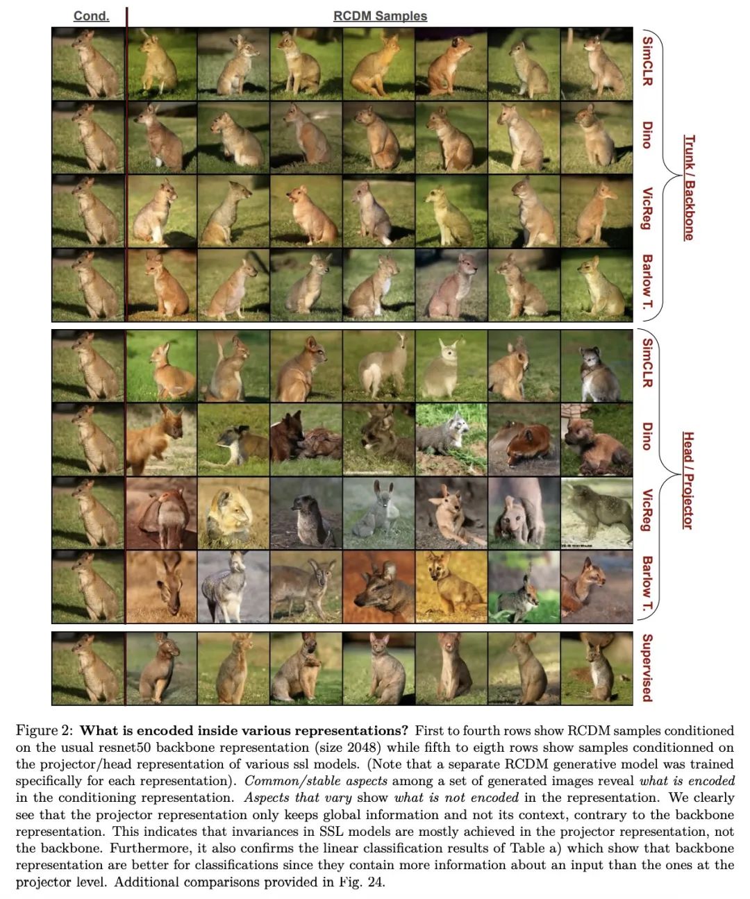 爱可可AI前沿推介 (11.13) - 智源社区
