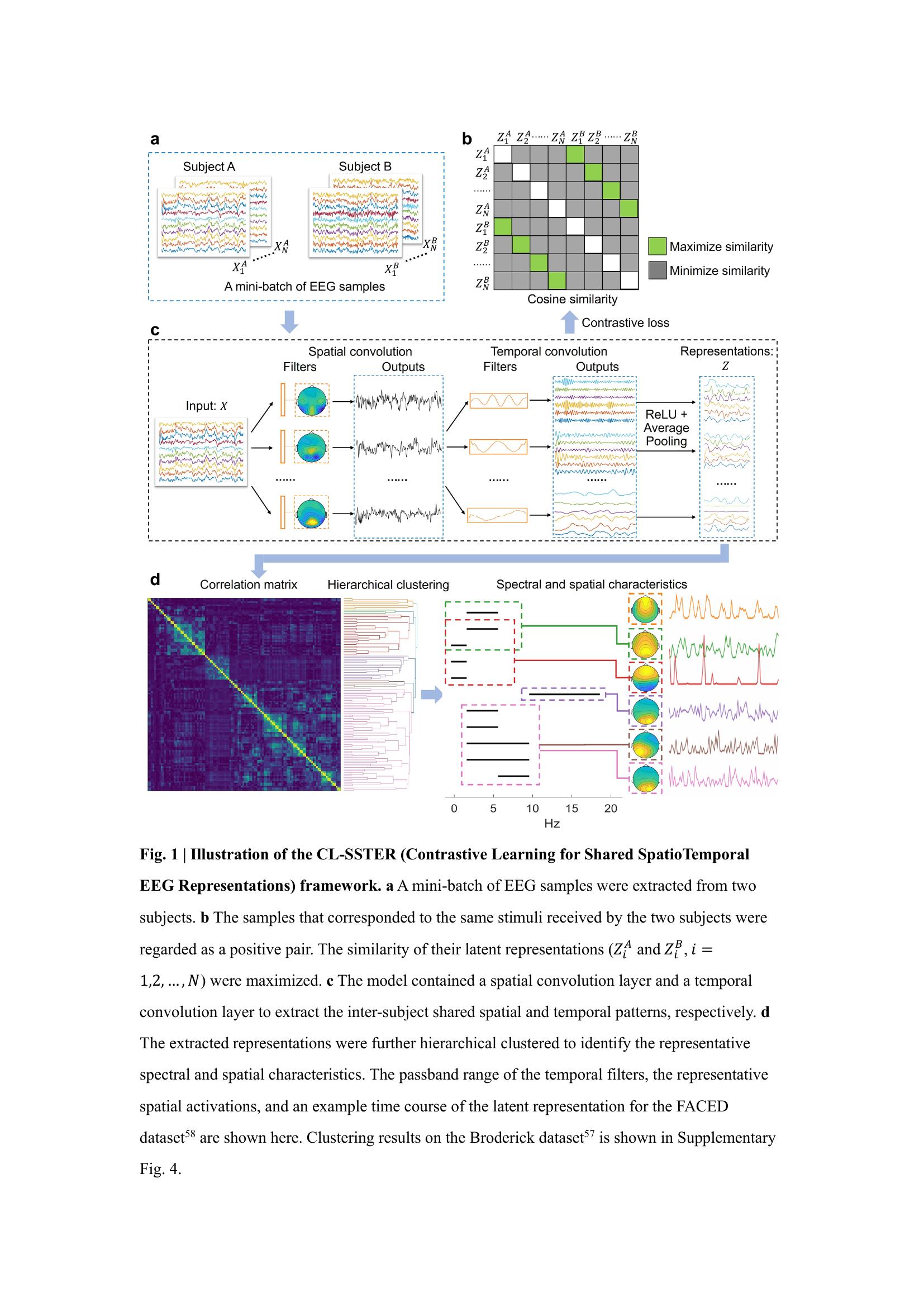 Contrastive Learning of Shared Spatiotemporal EEG Representations Across Individuals for ...