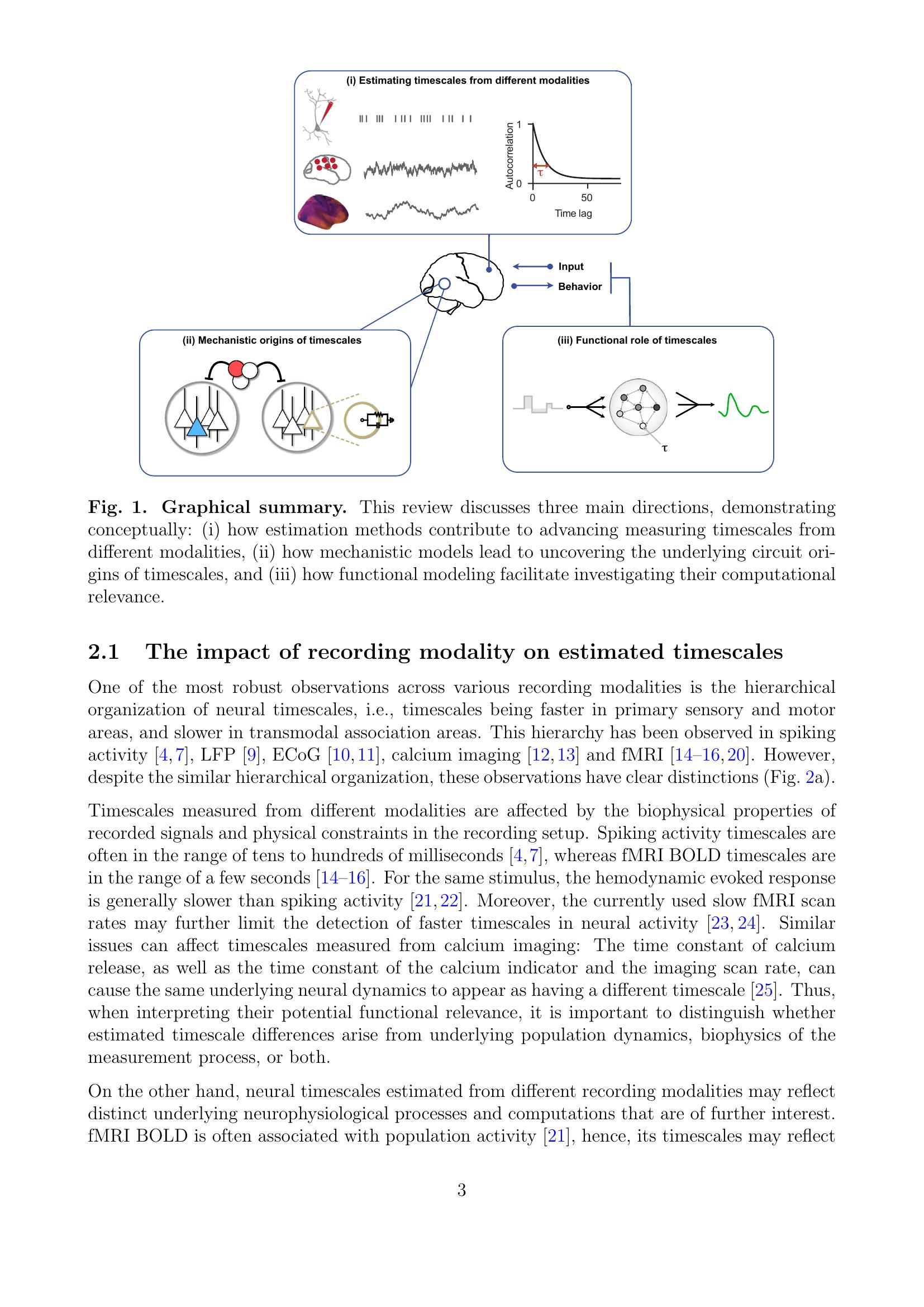Neural timescales from a computational perspective - 智源社区论文