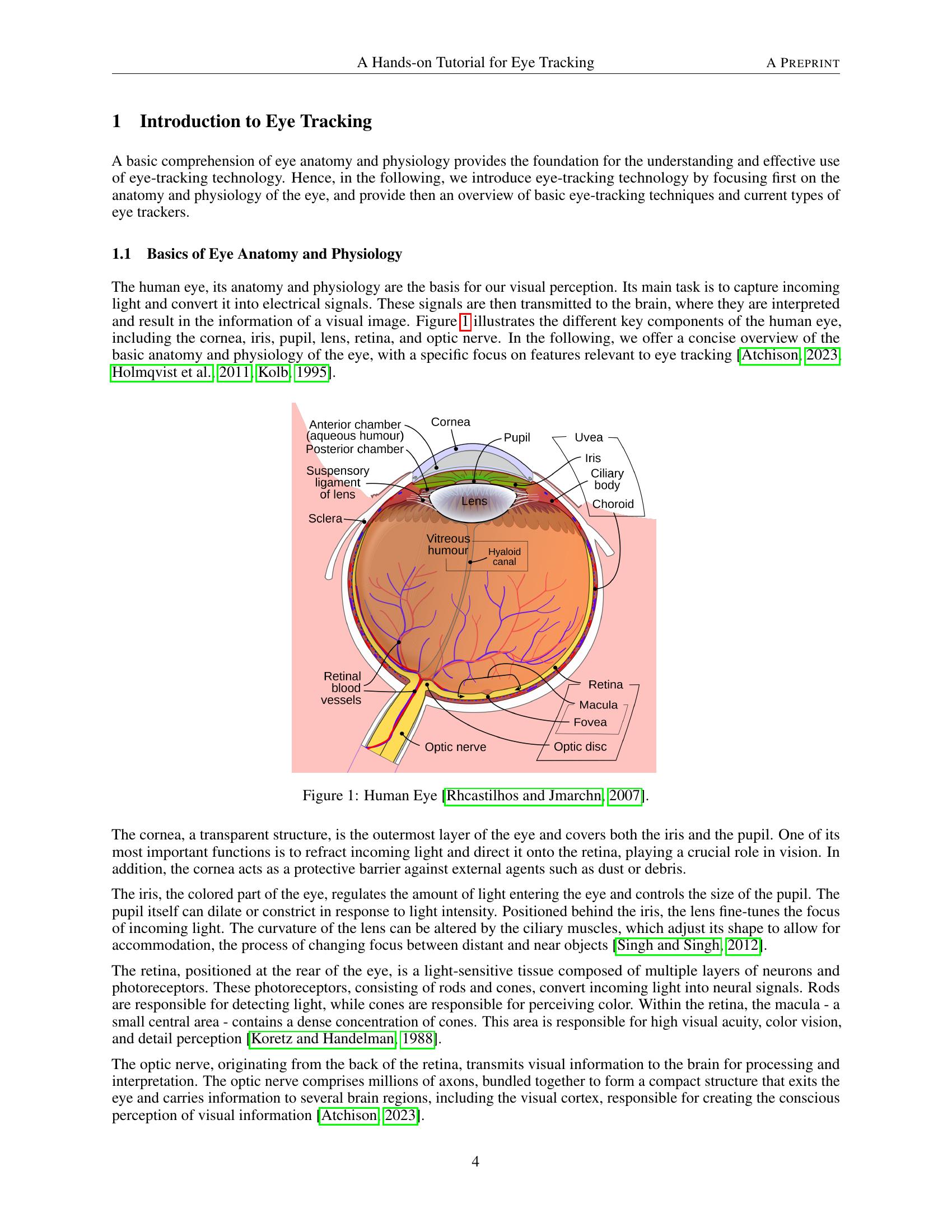 Introduction to Eye Tracking: A Hands-On Tutorial for Students and Practitioners - 智源社区论文