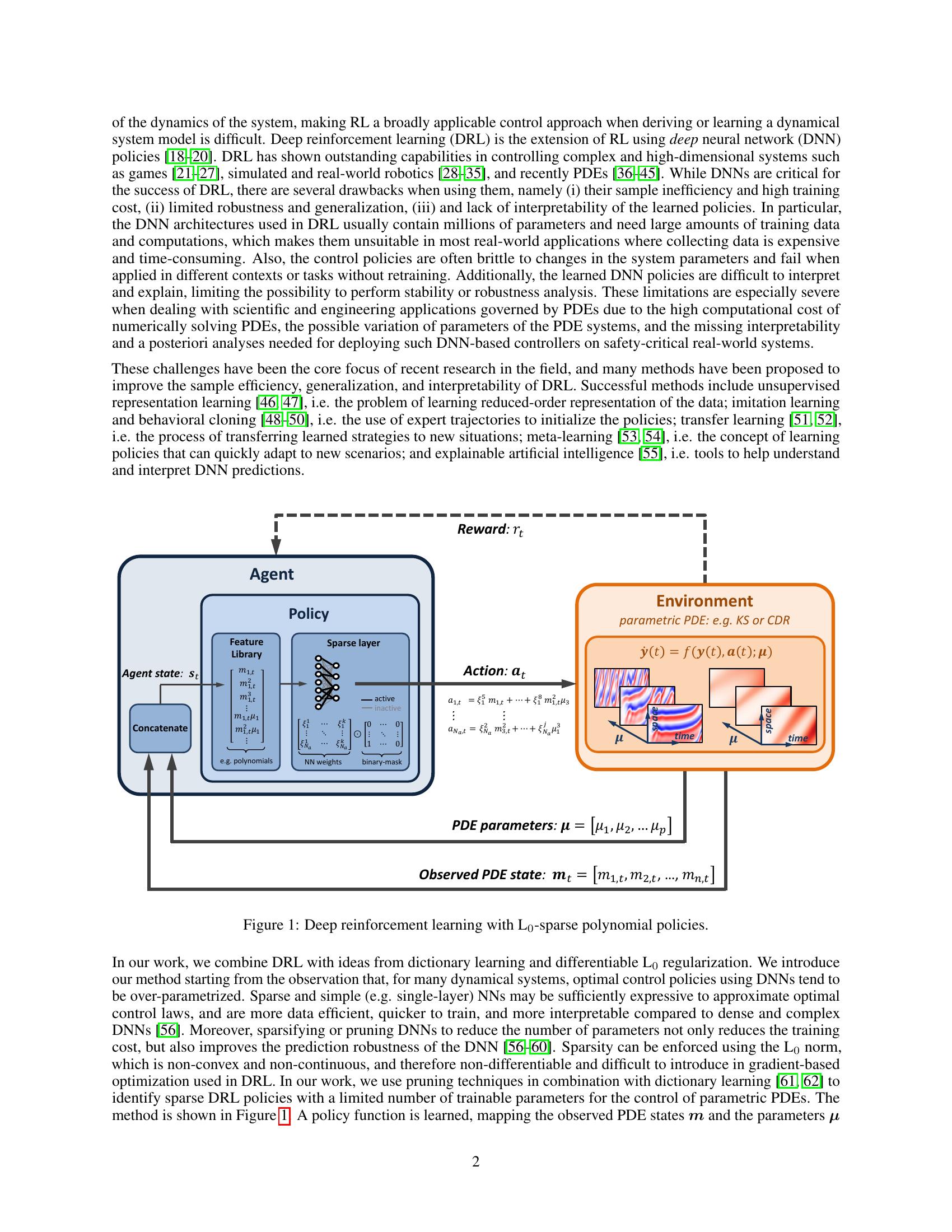 Parametric PDE Control with Deep Reinforcement Learning and Differentiable L0-Sparse Polynomial ...