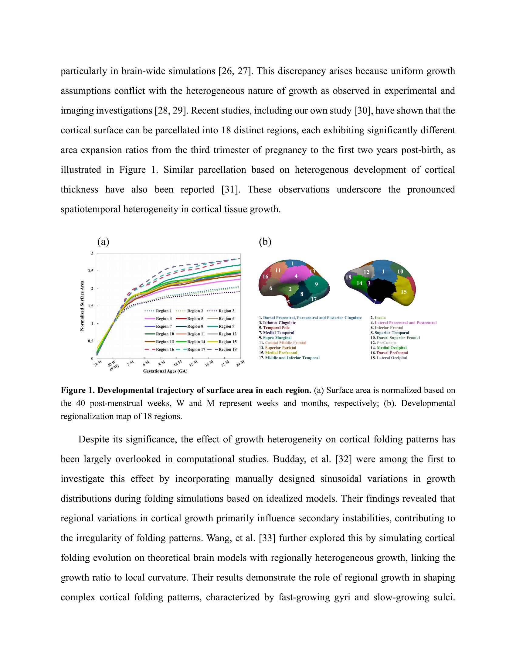 Role of Data-driven Regional Growth Model in Shaping Brain Folding ...