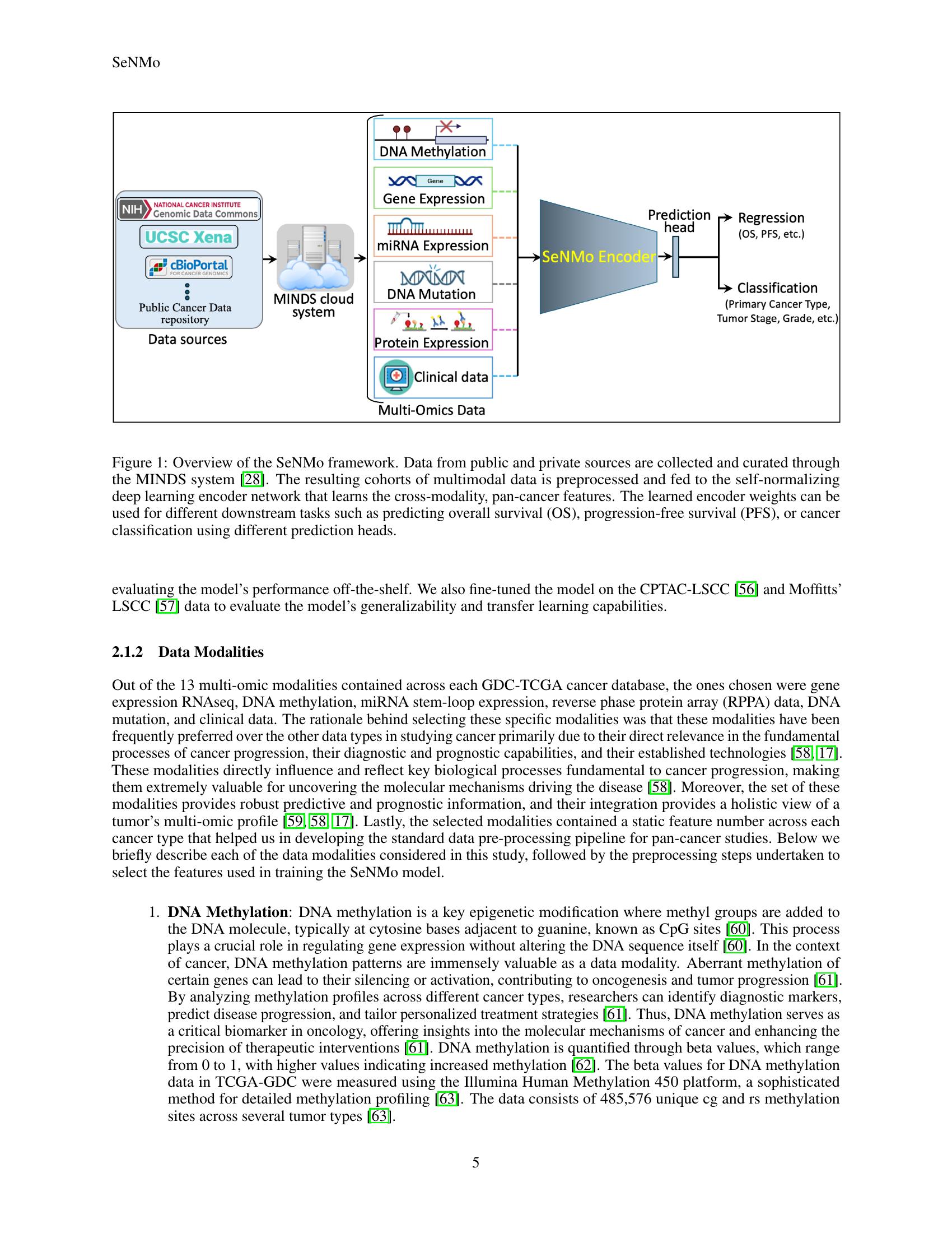 SeNMo: A Self-Normalizing Deep Learning Model for Enhanced Multi-Omics Data Analysis in Oncology ...