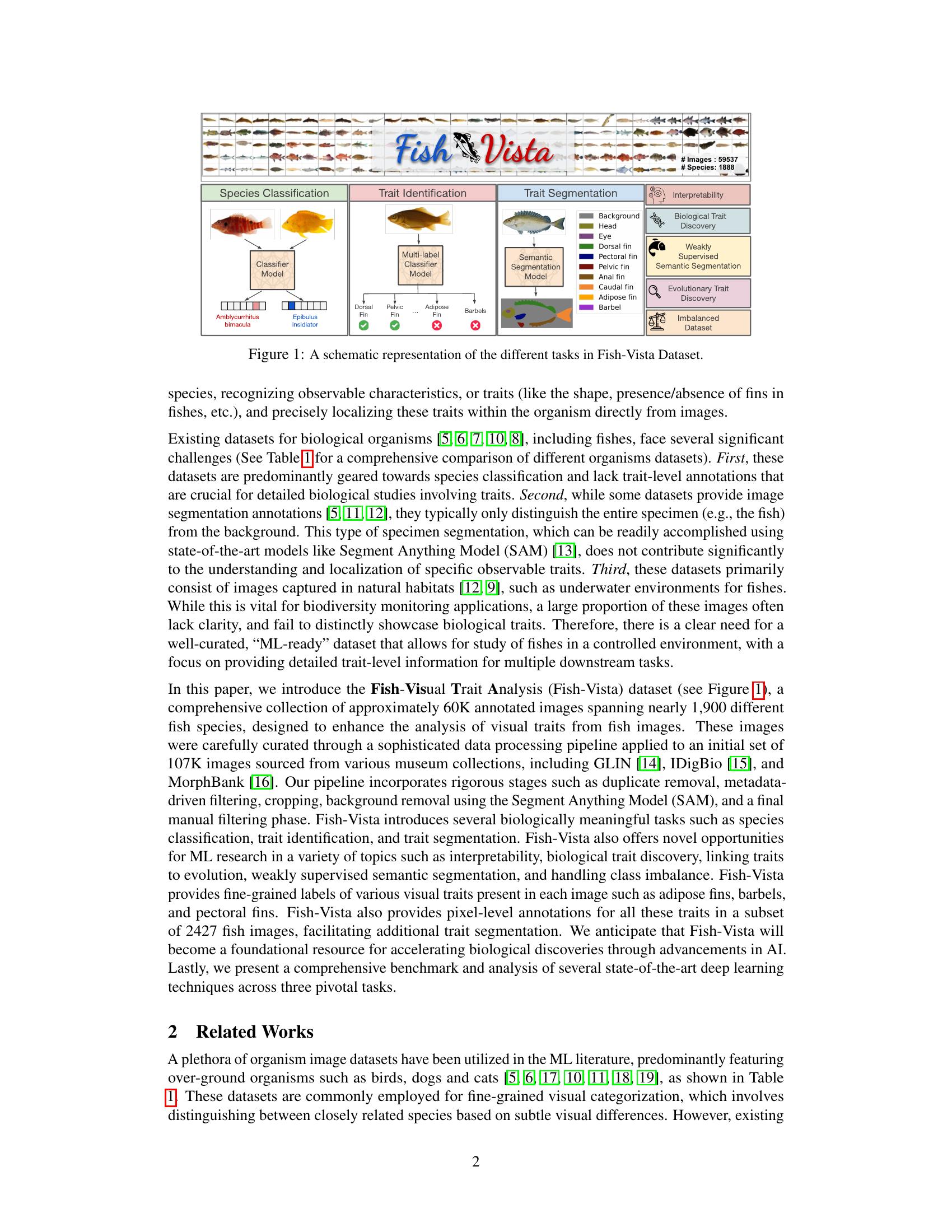 Fish-Vista: A Multi-Purpose Dataset for Understanding & Identification ...