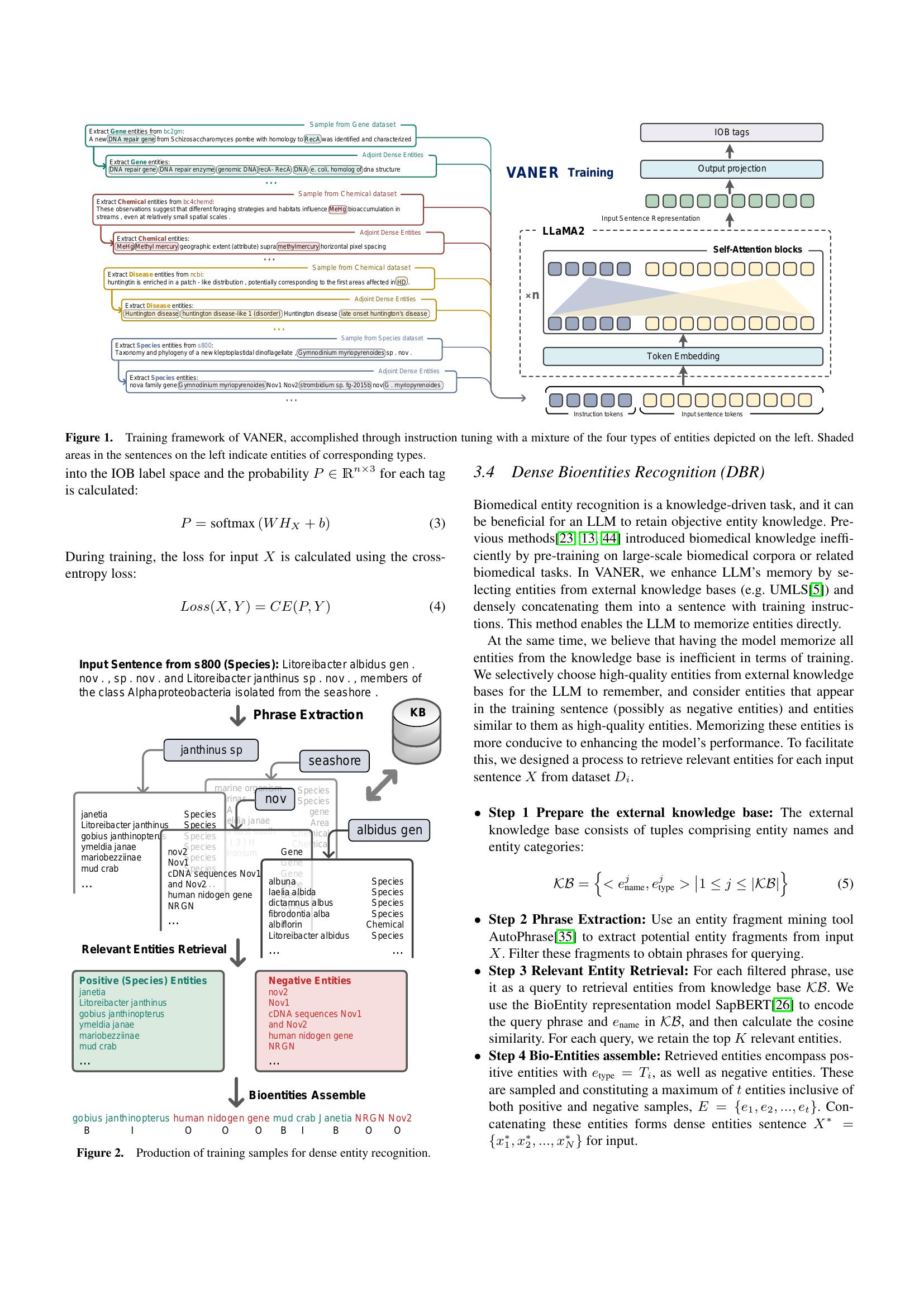 VANER: Leveraging Large Language Model for Versatile and Adaptive Biomedical Named Entity ...