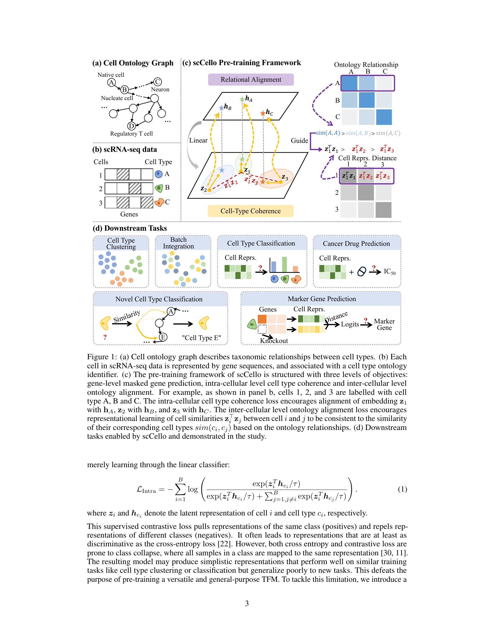 Cell-ontology guided transcriptome foundation model - 智源社区论文