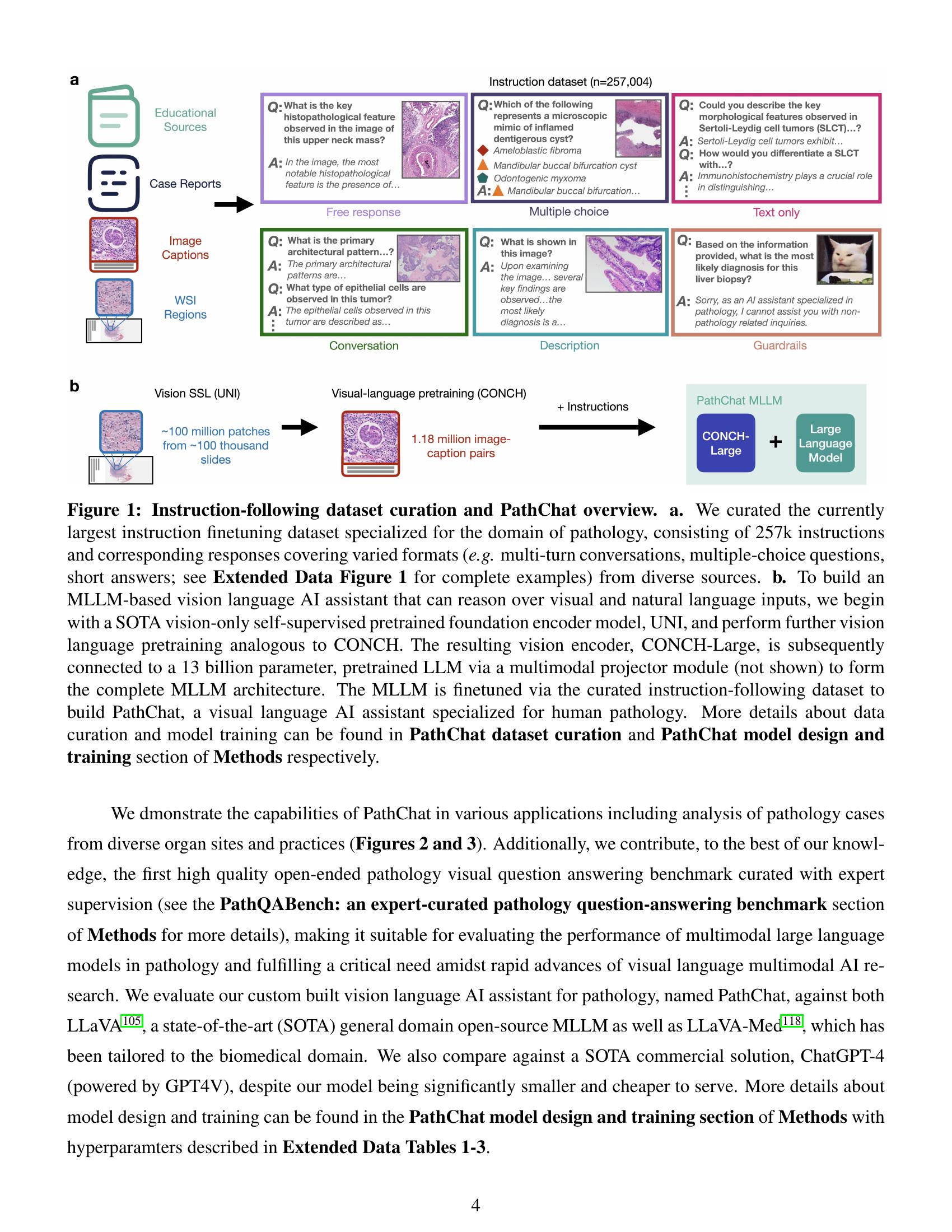 A Foundational Multimodal Vision Language AI Assistant for Human ...