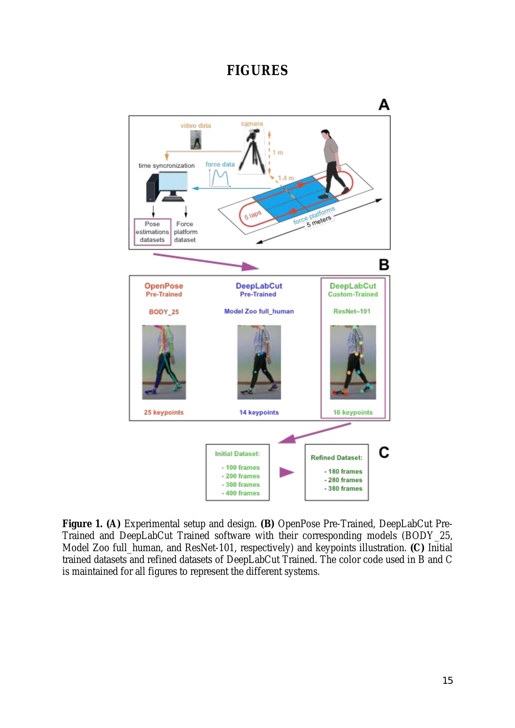 Deep-Learning-Based Markerless Pose Estimation Systems in Gait Analysis: DeepLabCut Custom ...