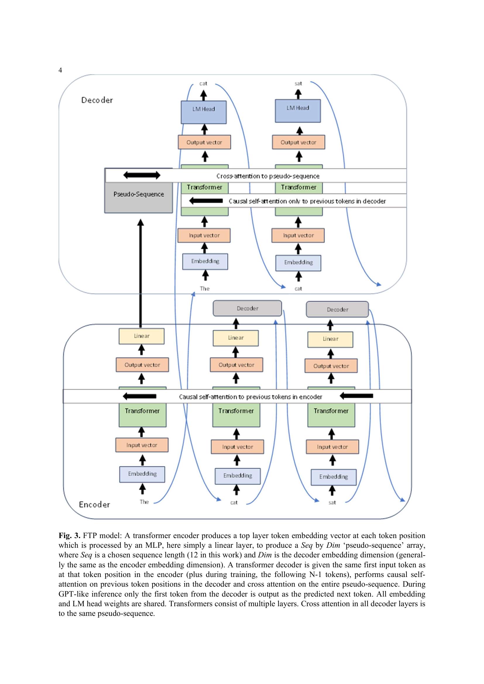 Future Token Prediction Causal Language Modelling With Per Token
