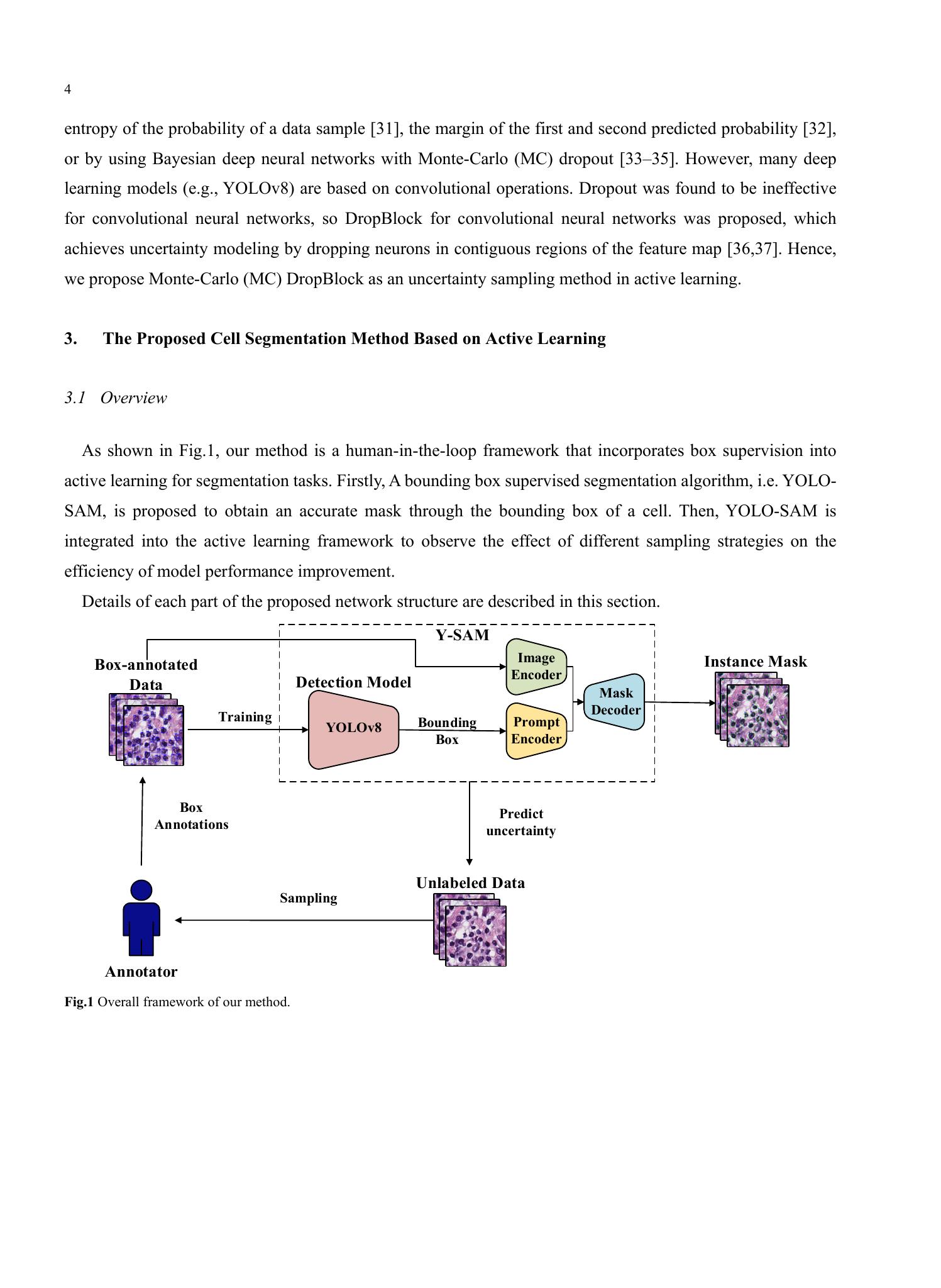 Active Learning Enabled Low-cost Cell Image Segmentation Using Bounding Box Annotation - 智源社区论文