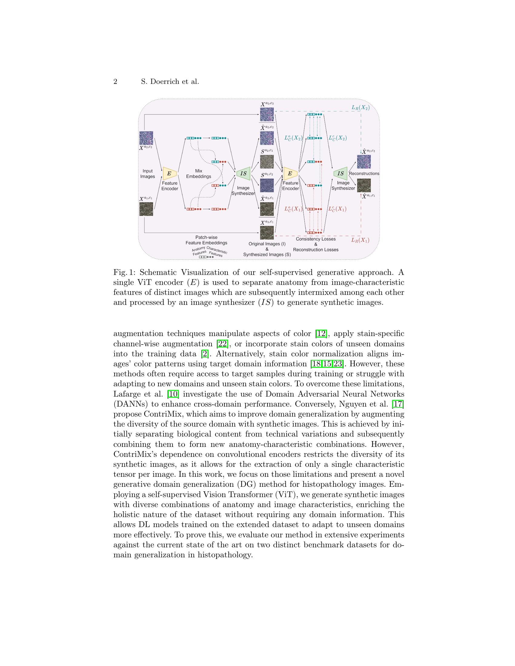 Self-supervised Vision Transformer are Scalable Generative Models for Domain Generalization - 智源社区论文