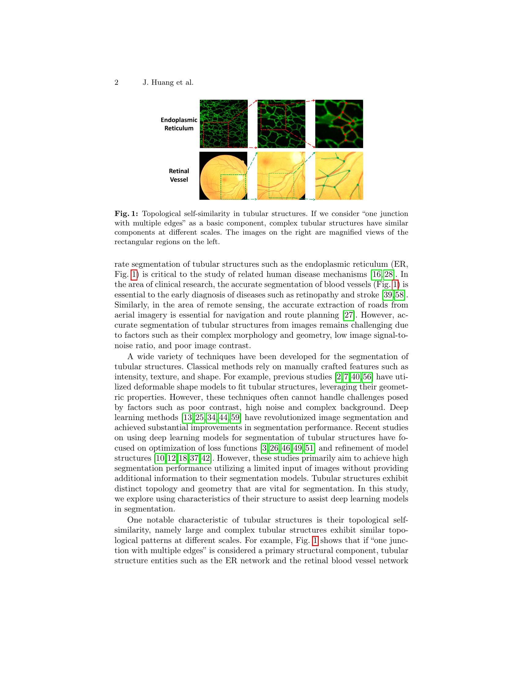 Representing Topological Self-Similarity Using Fractal Feature Maps for ...