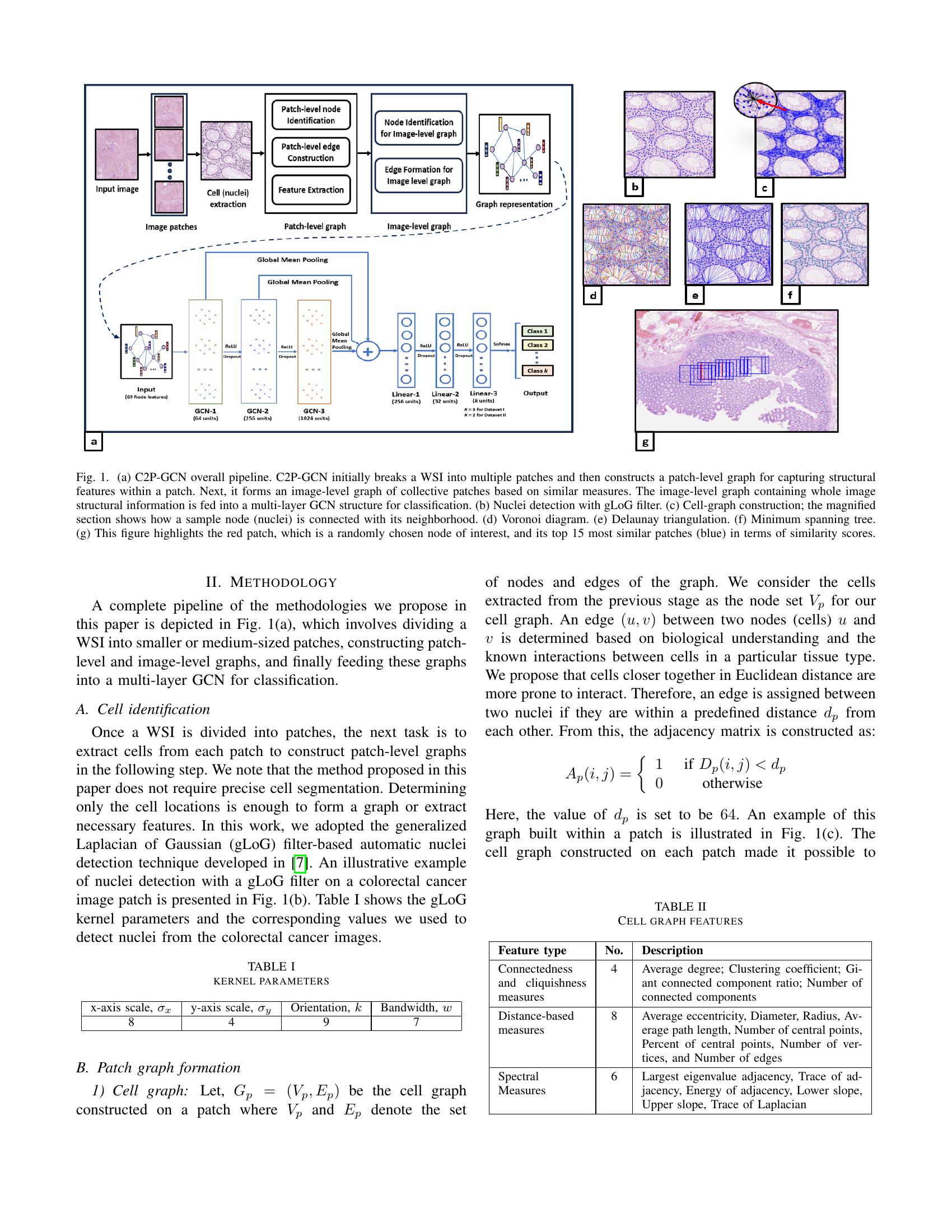 C2P-GCN: Cell-to-Patch Graph Convolutional Network for Colorectal ...
