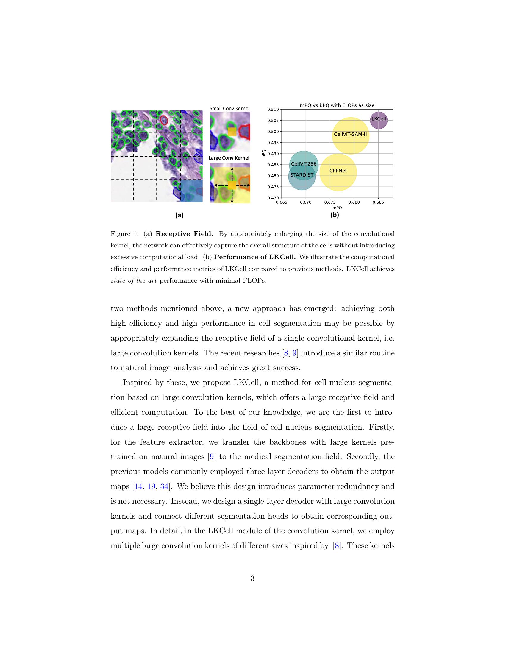 LKCell: Efficient Cell Nuclei Instance Segmentation with Large Convolution Kernels - 智源社区论文