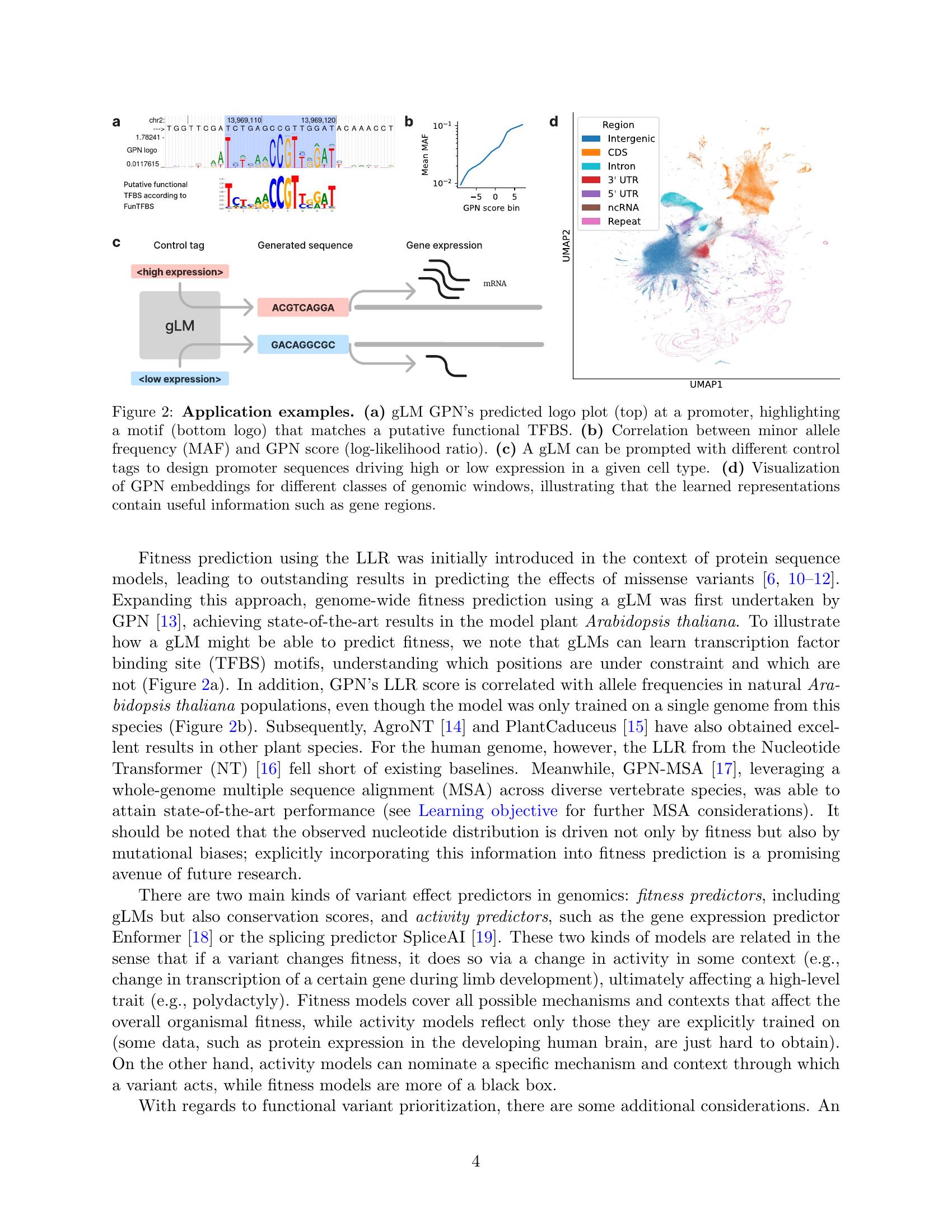 Genomic Language Models: Opportunities and Challenges - 智源社区论文