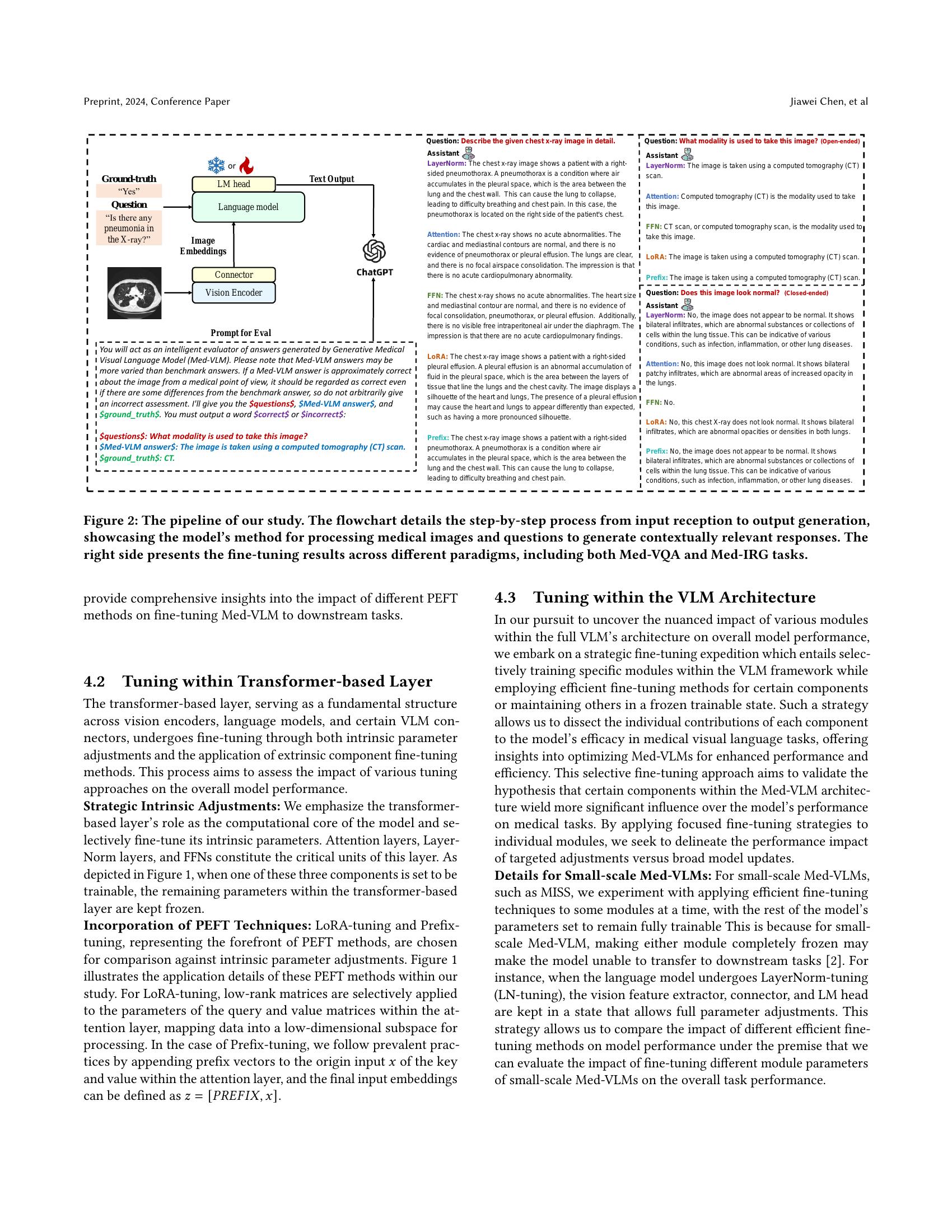 Efficiency in Focus: LayerNorm as a Catalyst for Fine-tuning Medical ...