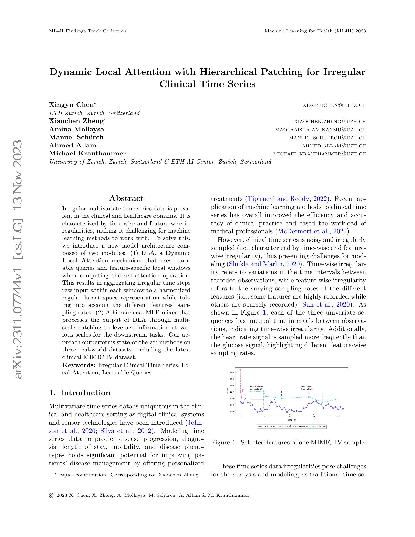 Dynamic Local Attention with Hierarchical Patching for Irregular Clinical Time Series - 智源社区论文