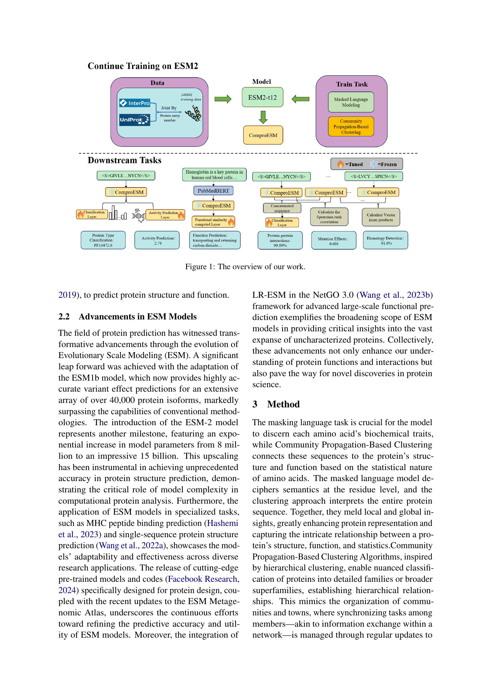 Beyond ESM2: Graph-Enhanced Protein Sequence Modeling with Efficient ...