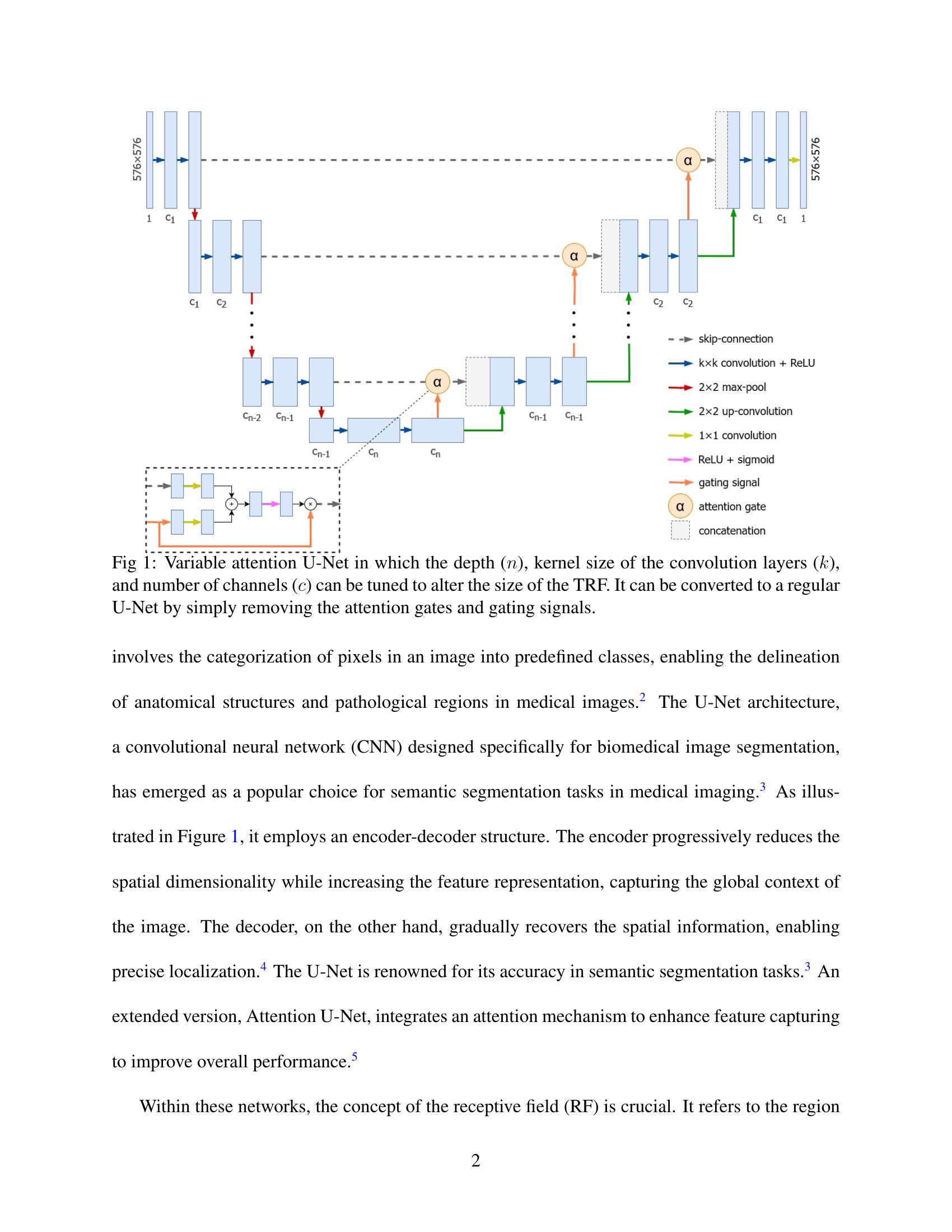Demystifying the Effect of Receptive Field Size in U-Net Models for Medical Image Segmentation ...