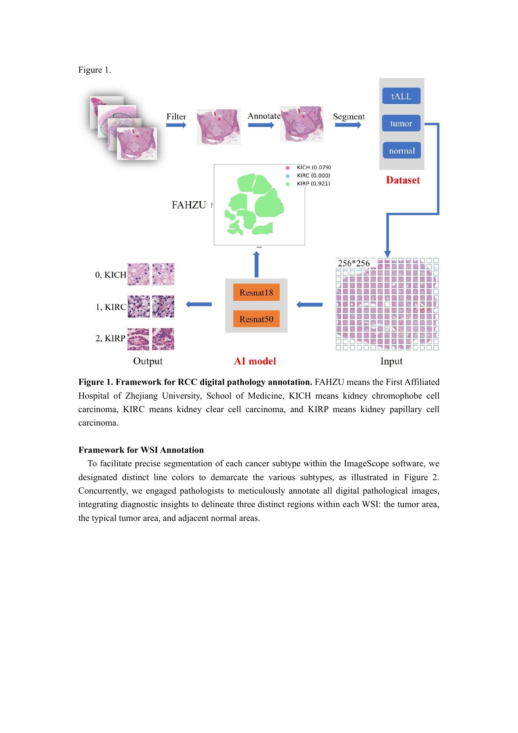 RCdpia: A Renal Carcinoma Digital Pathology Image Annotation dataset ...