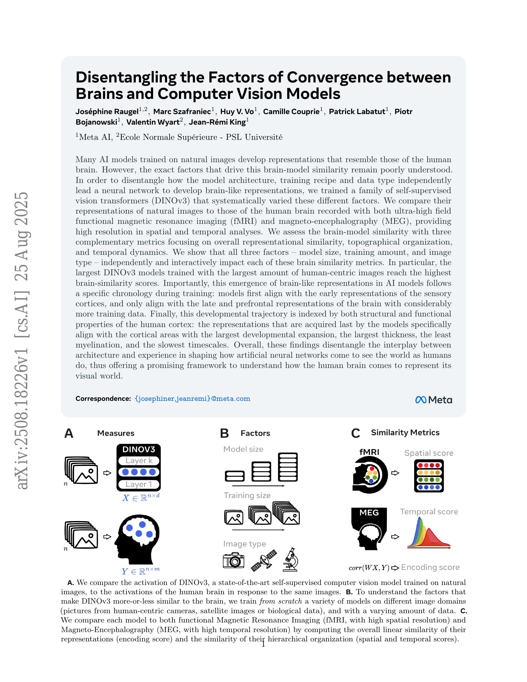 Disentangling the Factors of Convergence between Brains and Computer ...
