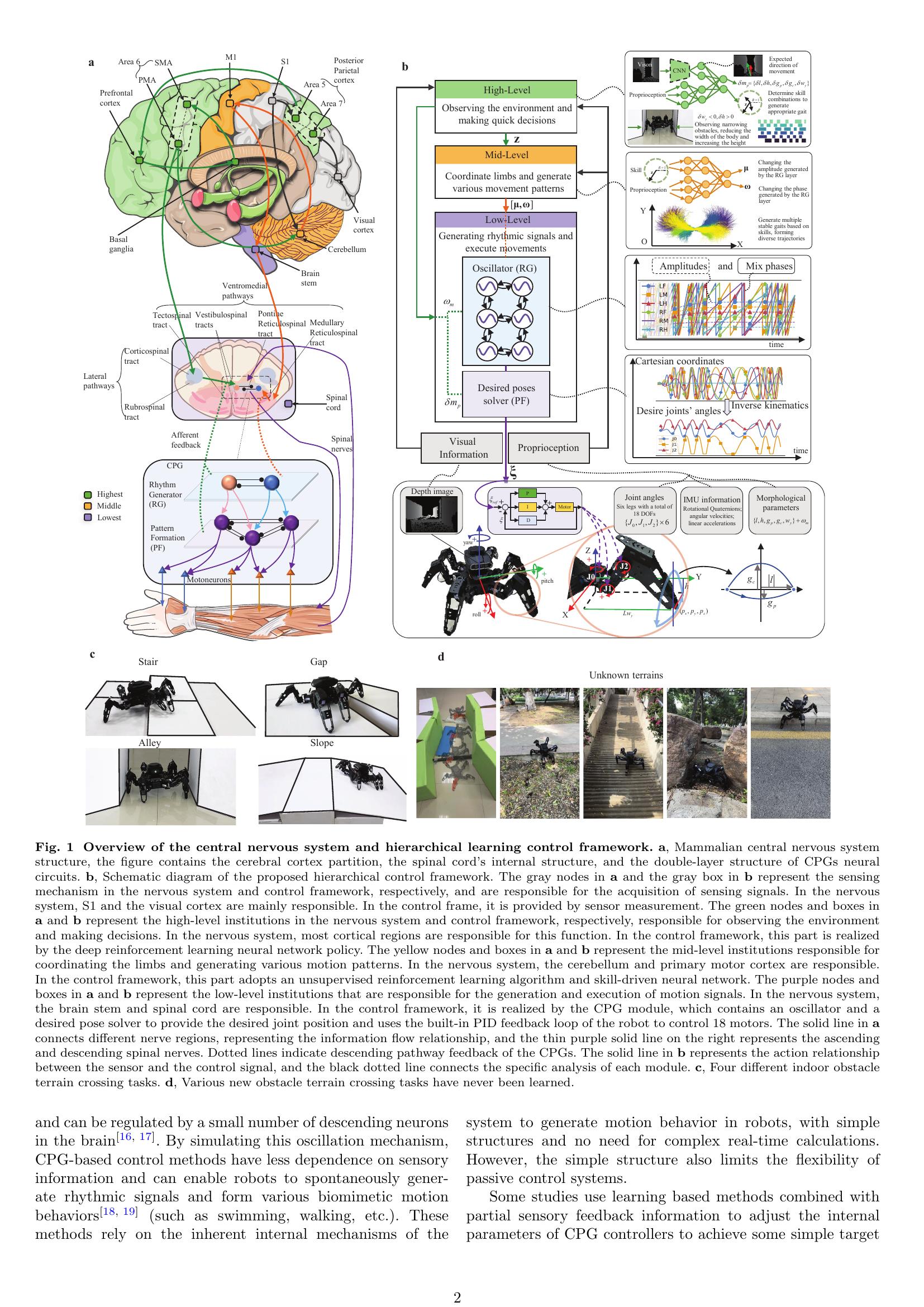 Hierarchical learning control for autonomous robots inspired by central nervous system - 智源社区论文