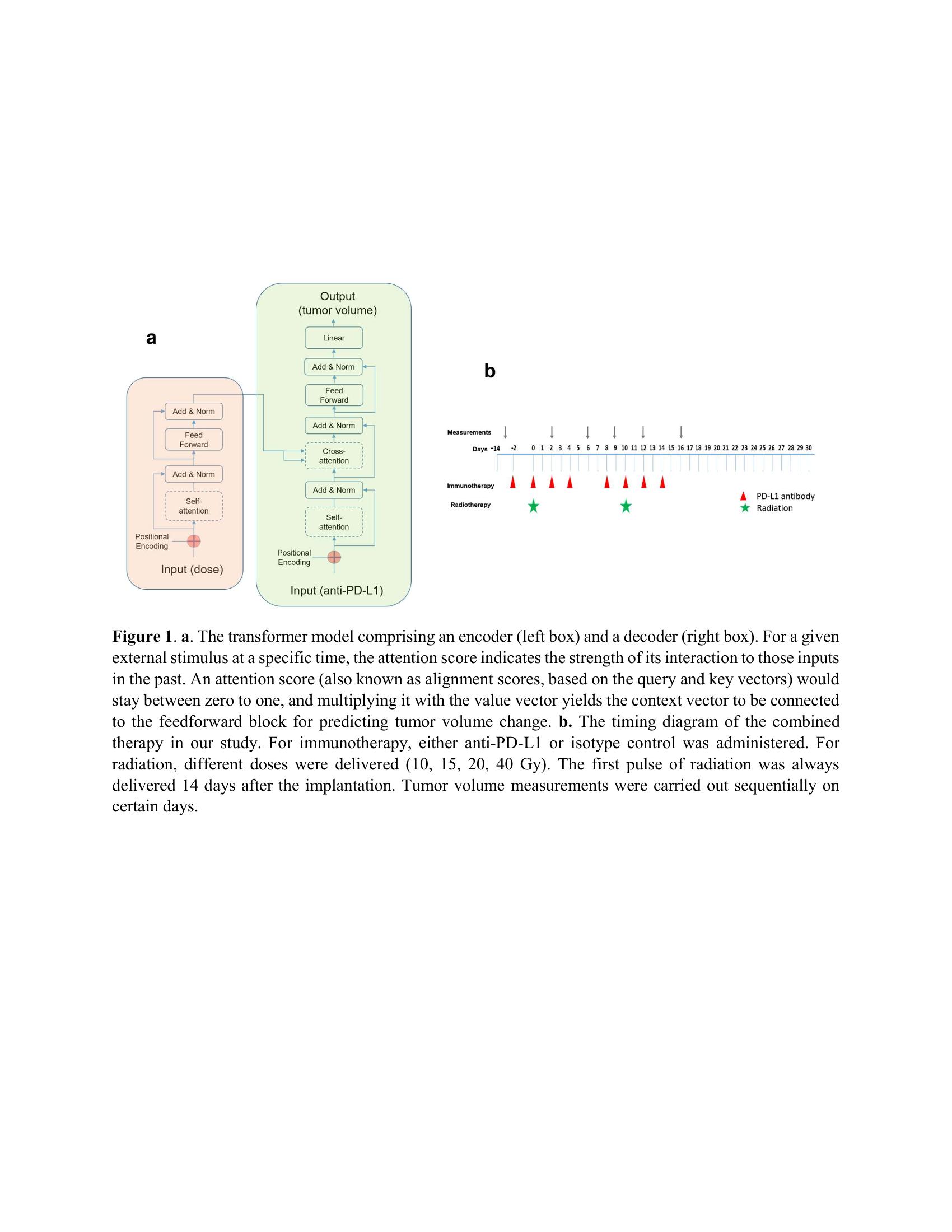 Understanding the PULSAR Effect in Combined Radiotherapy and ...