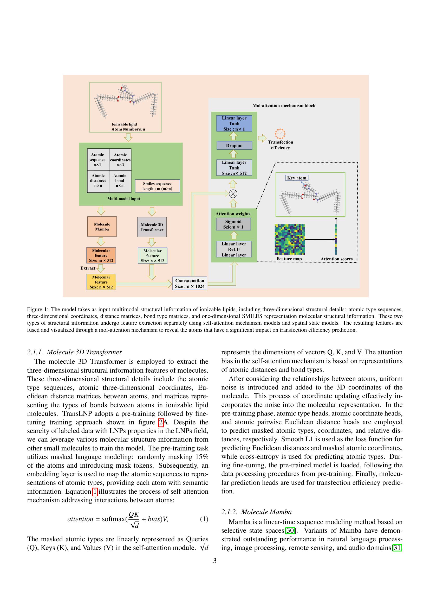 TransMA: an explainable multi-modal deep learning model for predicting ...