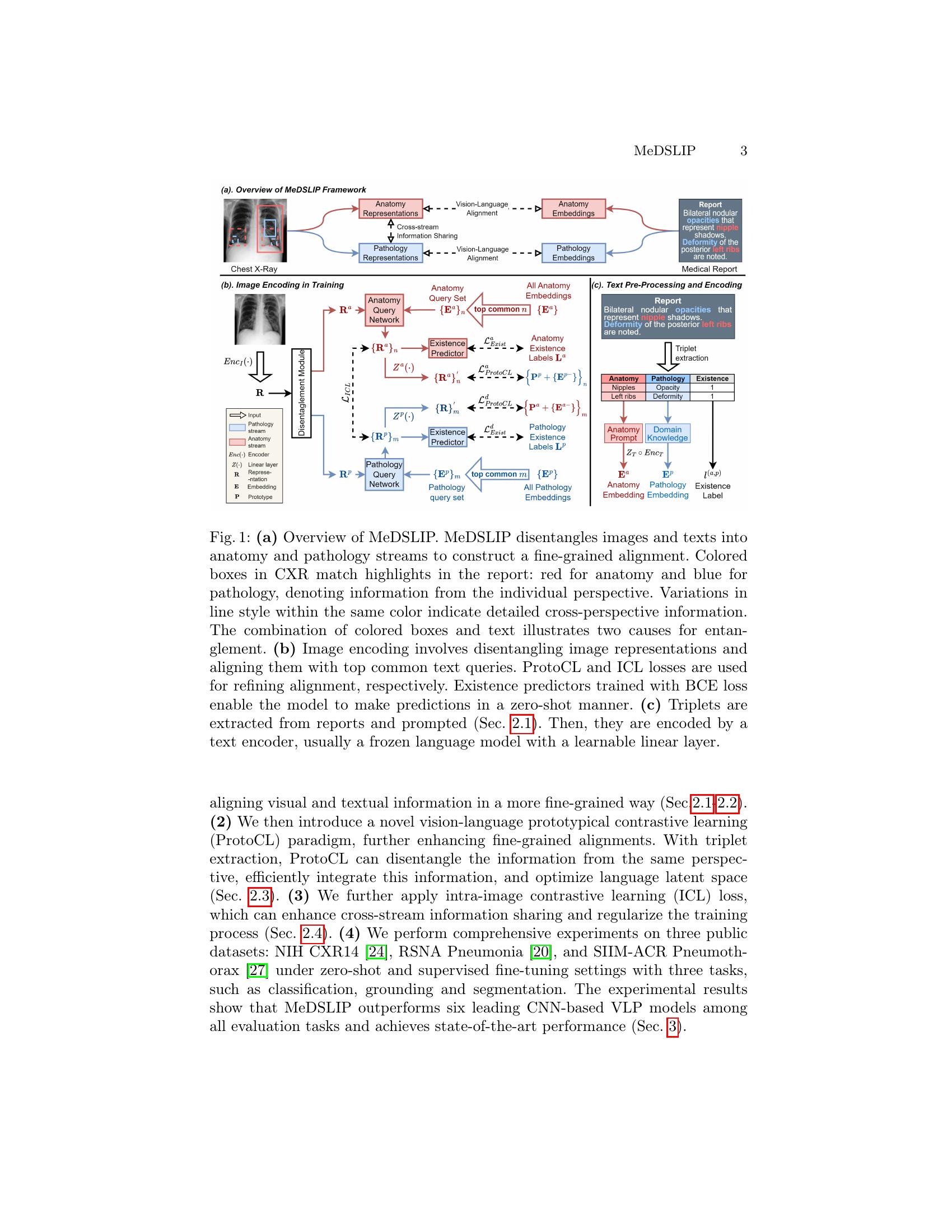 MeDSLIP: Medical Dual-Stream Language-Image Pre-training for Fine ...