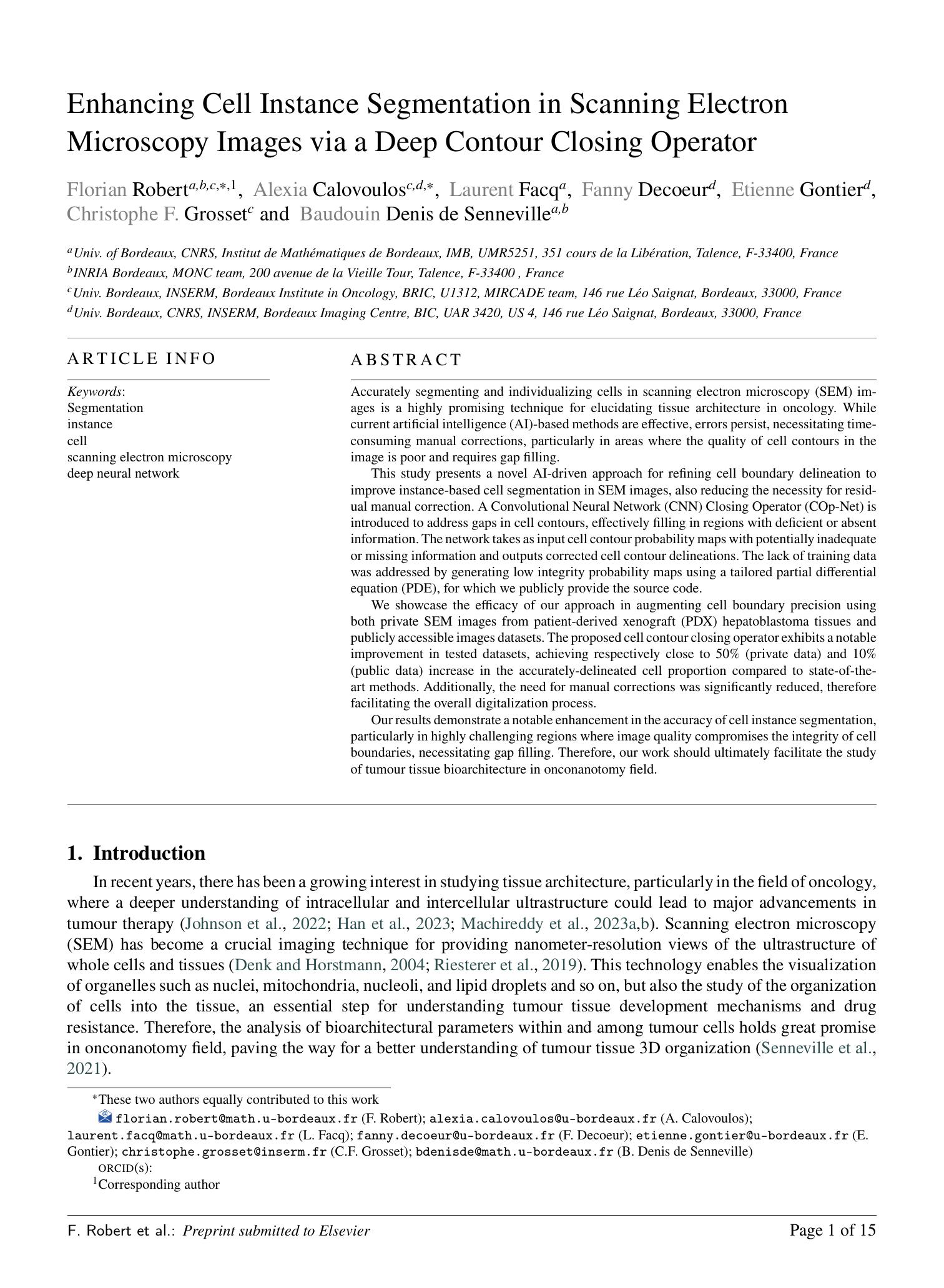 Enhancing Cell Instance Segmentation in Scanning Electron Microscopy ...