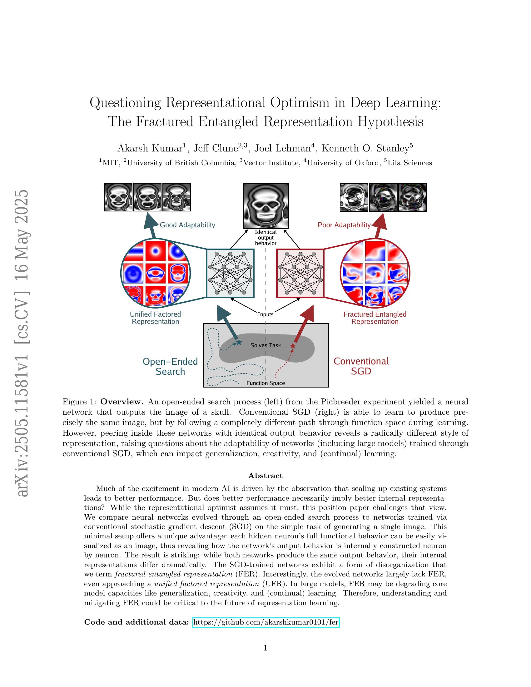 Questioning Representational Optimism in Deep Learning: The Fractured ...