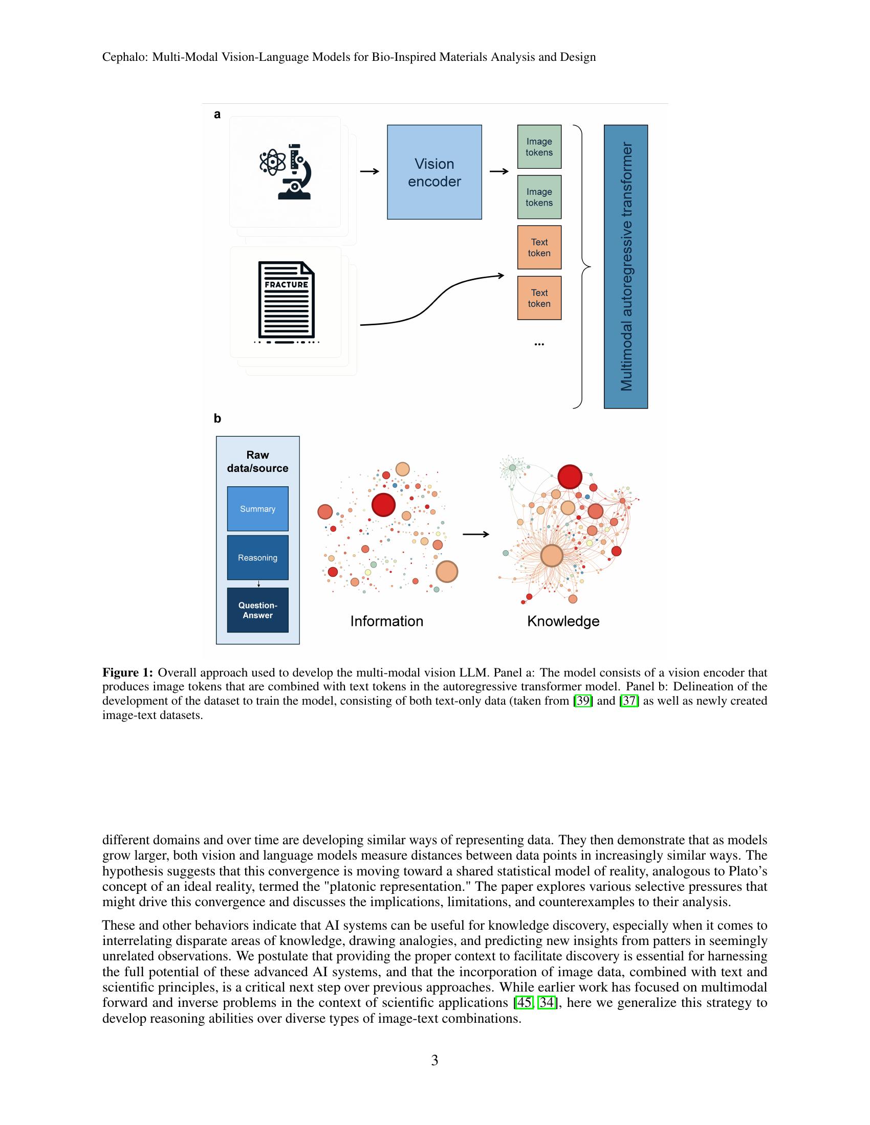 Cephalo: Multi-Modal Vision-Language Models for Bio-Inspired Materials ...