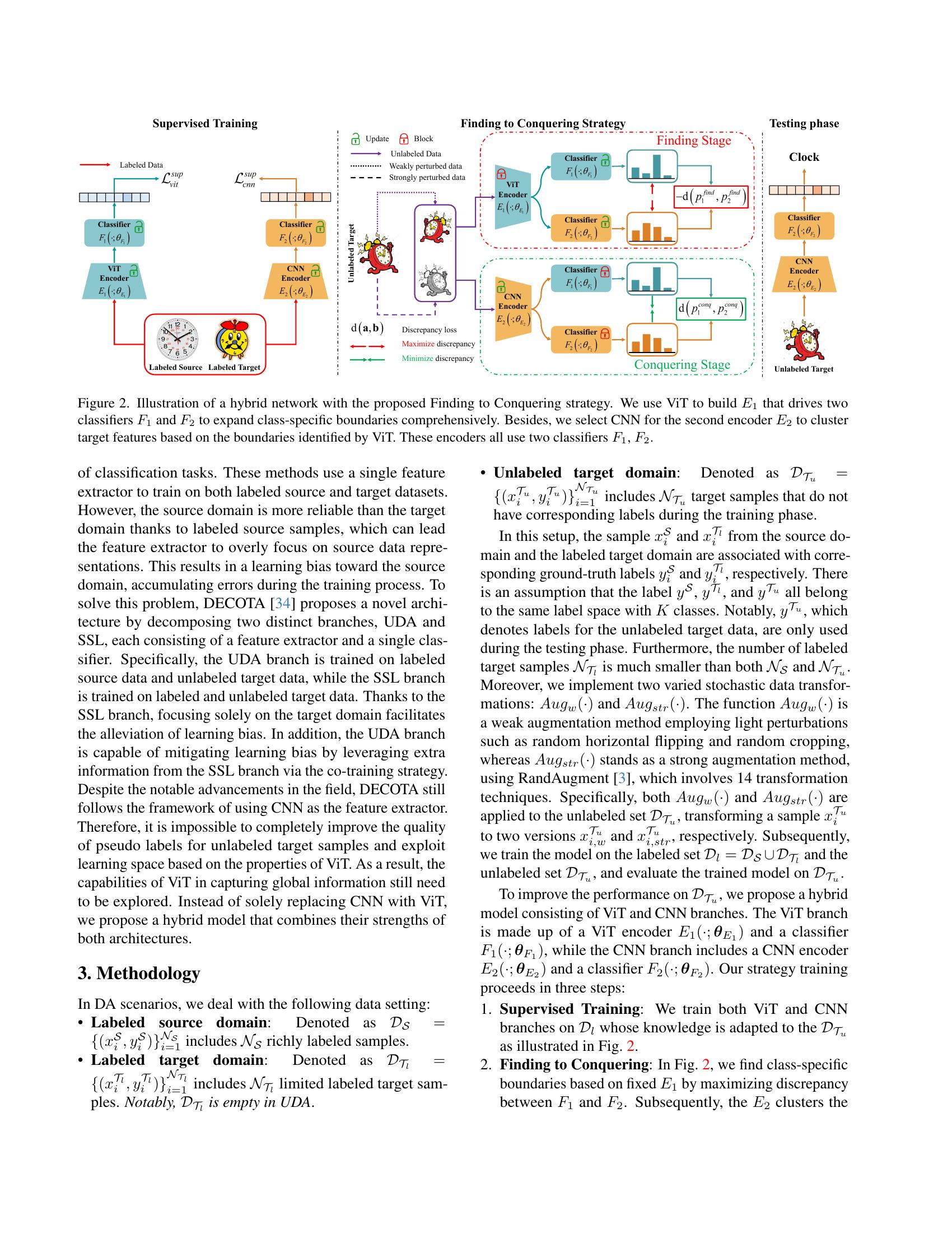 Learning CNN on ViT: A Hybrid Model to Explicitly Class-specific ...