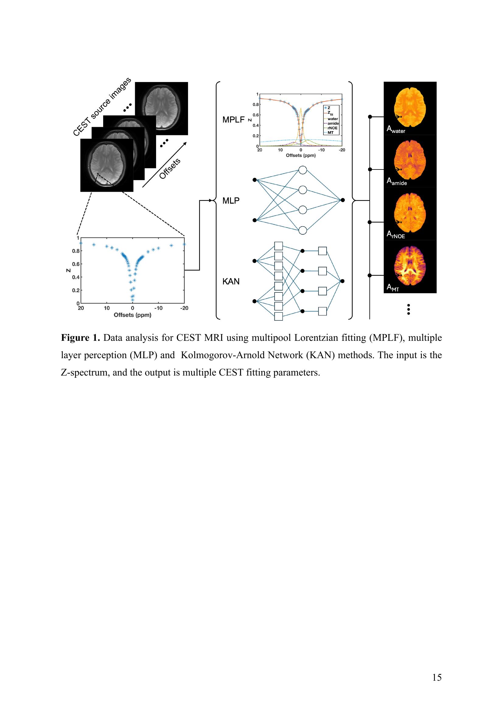 CEST-KAN: Kolmogorov-Arnold Networks for CEST MRI Data Analysis - 智源社区论文
