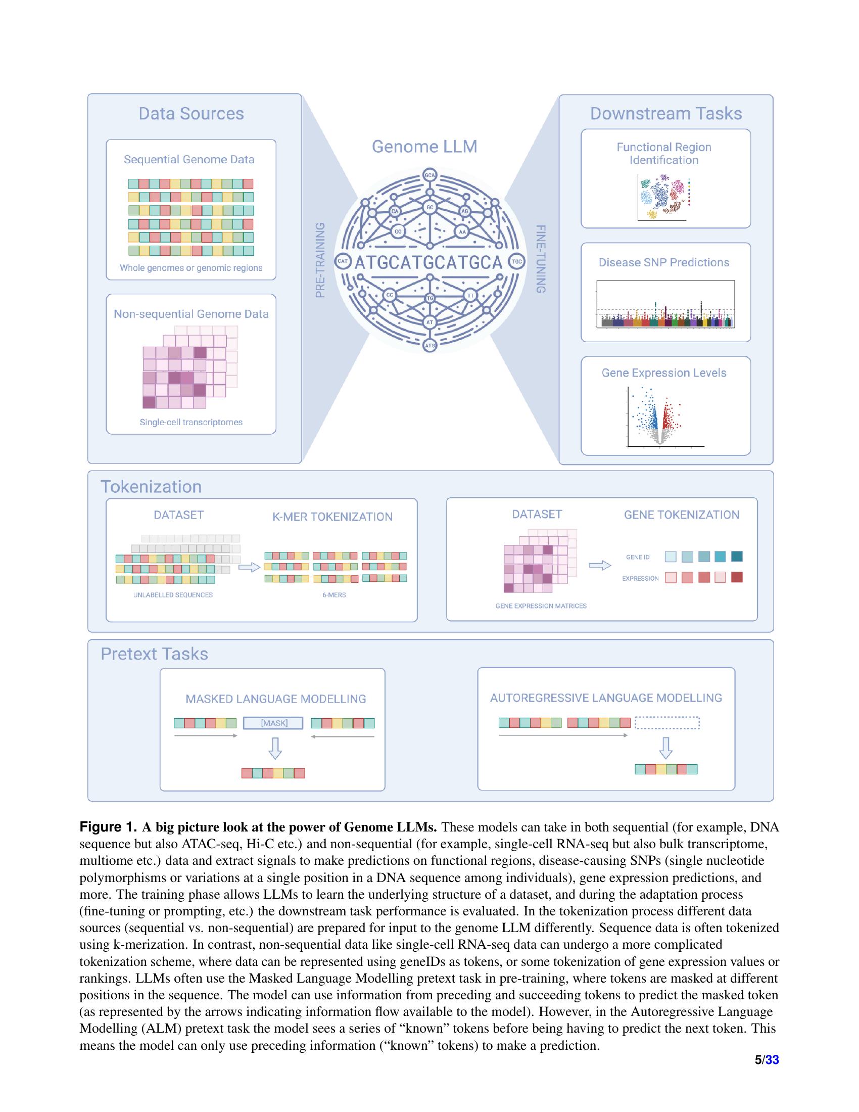 To Transformers and Beyond: Large Language Models for the Genome - 智源社区论文