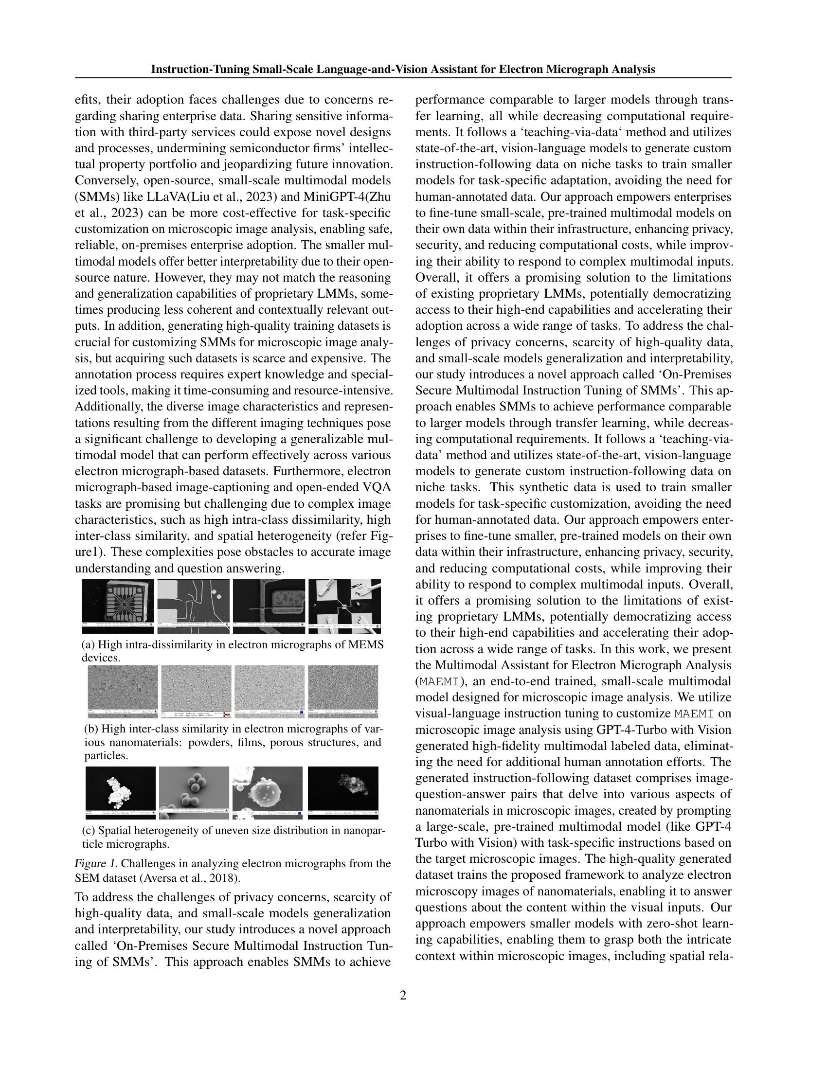 Foundational Model for Electron Micrograph Analysis: Instruction-Tuning ...