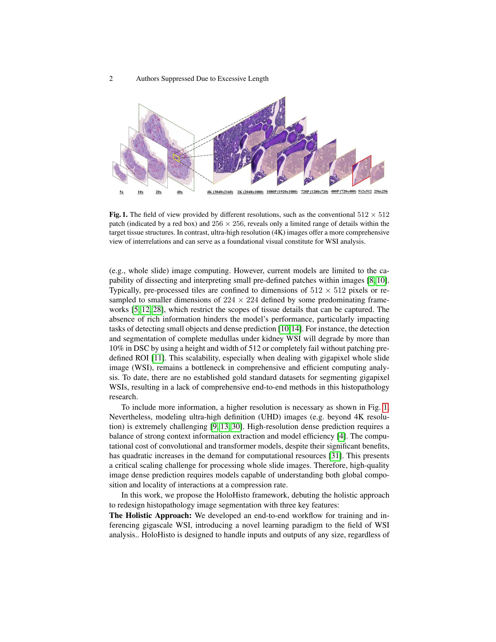 HoloHisto: End-to-end Gigapixel WSI Segmentation with 4K Resolution Sequential Tokenization - 智源社区论文