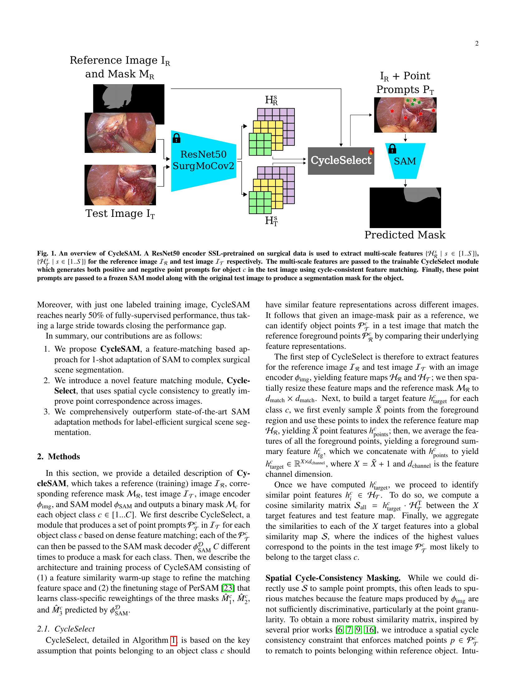 CycleSAM: One-Shot Surgical Scene Segmentation using Cycle-Consistent Feature Matching to Prompt ...