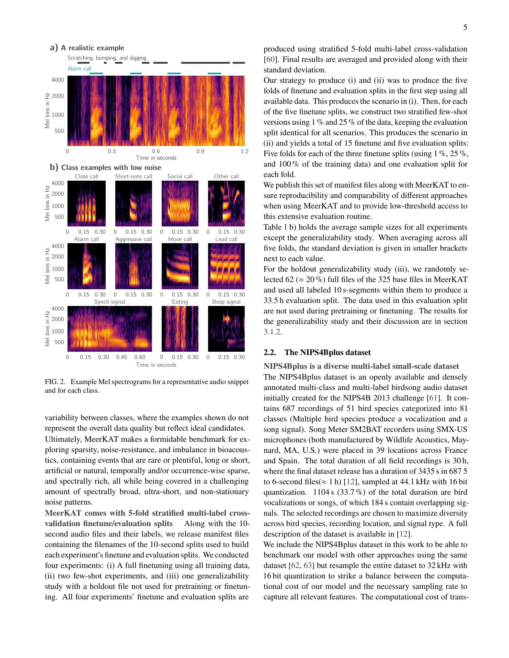 animal2vec and MeerKAT: A self-supervised transformer for rare-event ...