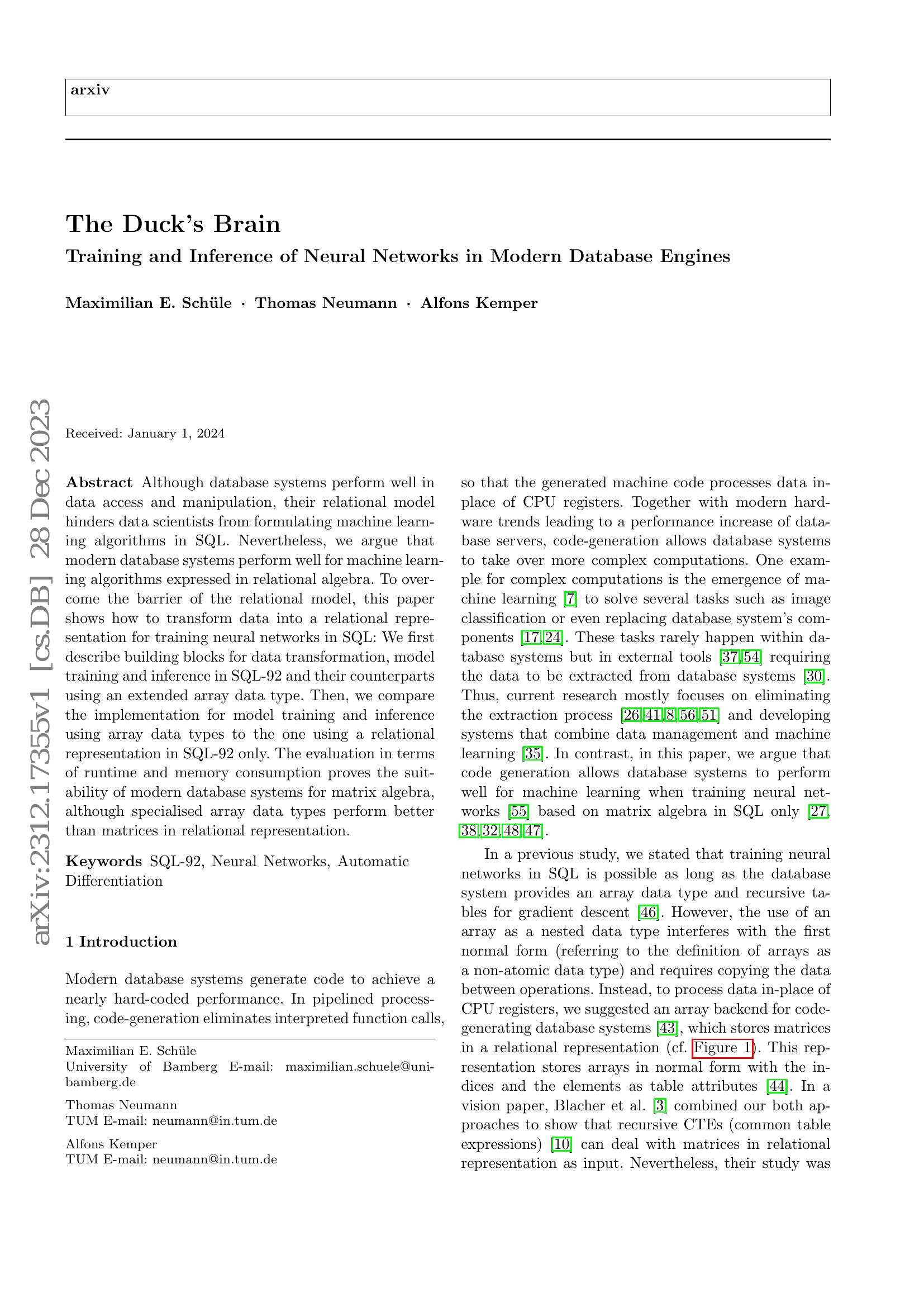The Duck's Brain: Training and Inference of Neural Networks in Modern ...