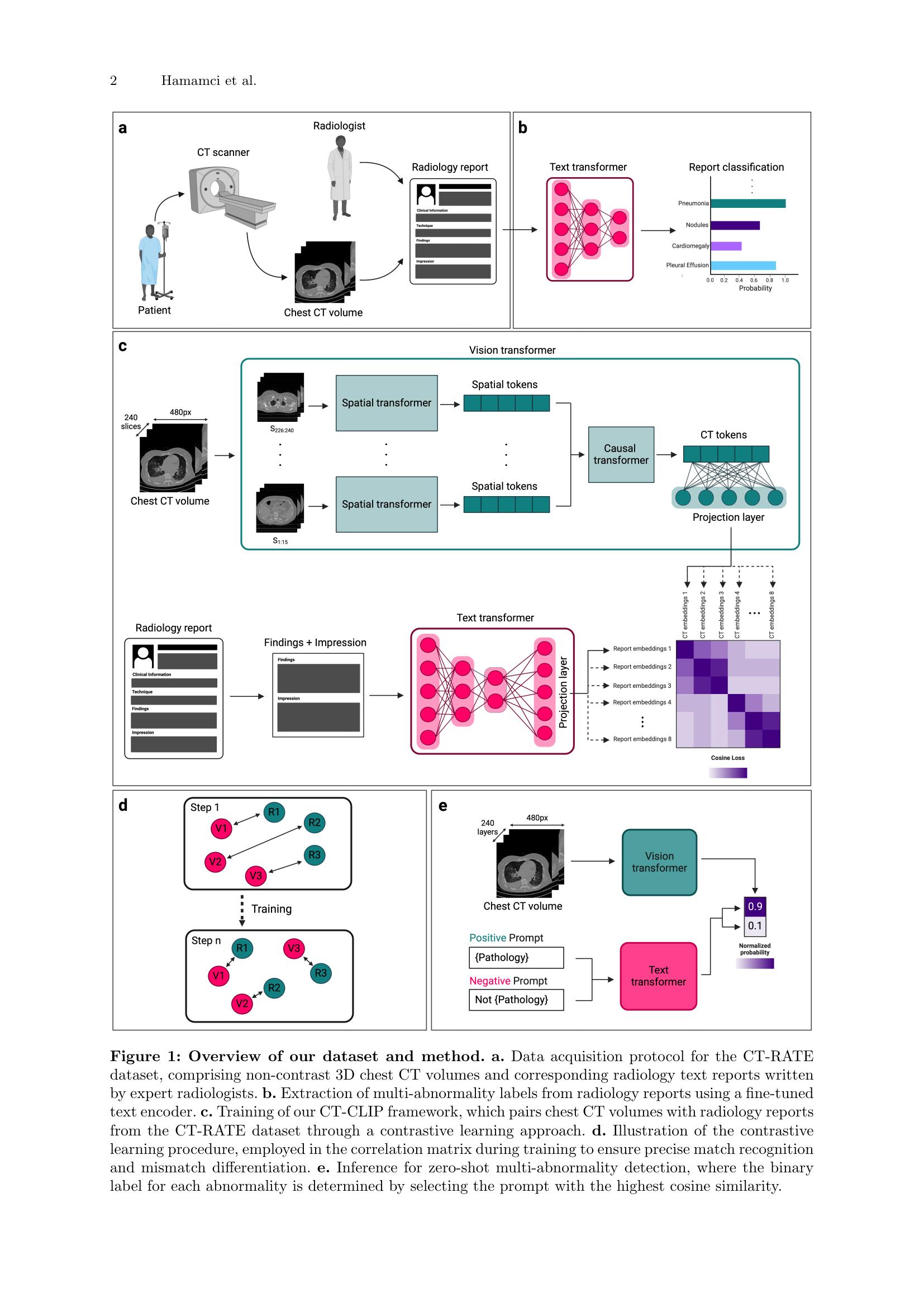 A foundation model utilizing chest CT volumes and radiology reports for ...