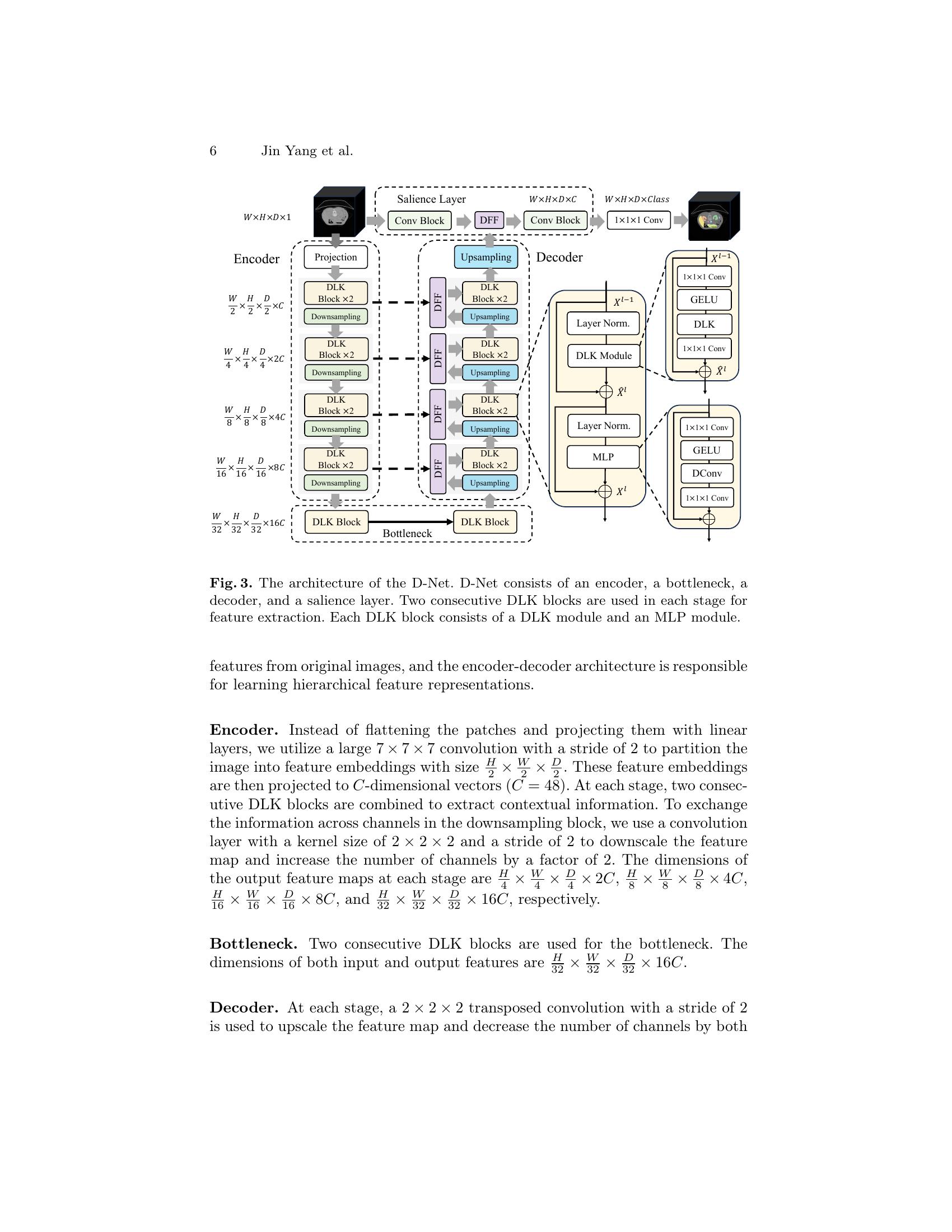 D-Net: Dynamic Large Kernel with Dynamic Feature Fusion for Volumetric ...