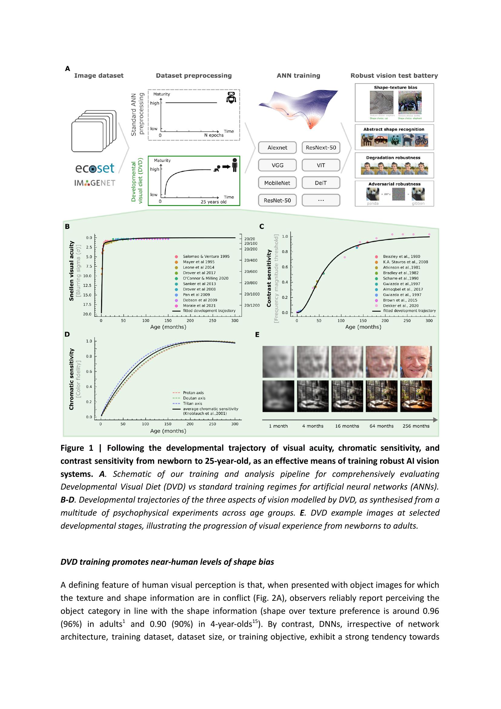 Adopting a human developmental visual diet yields robust, shape-based ...
