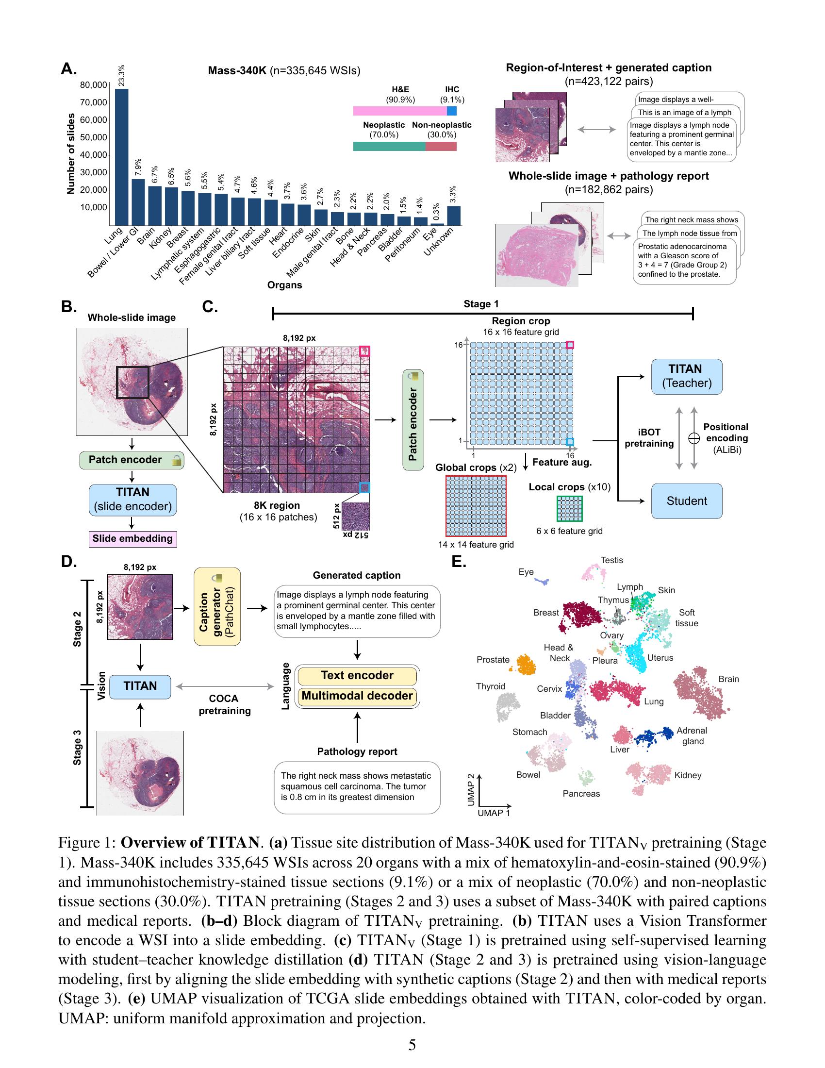 Multimodal Whole Slide Foundation Model for Pathology - 智源社区论文