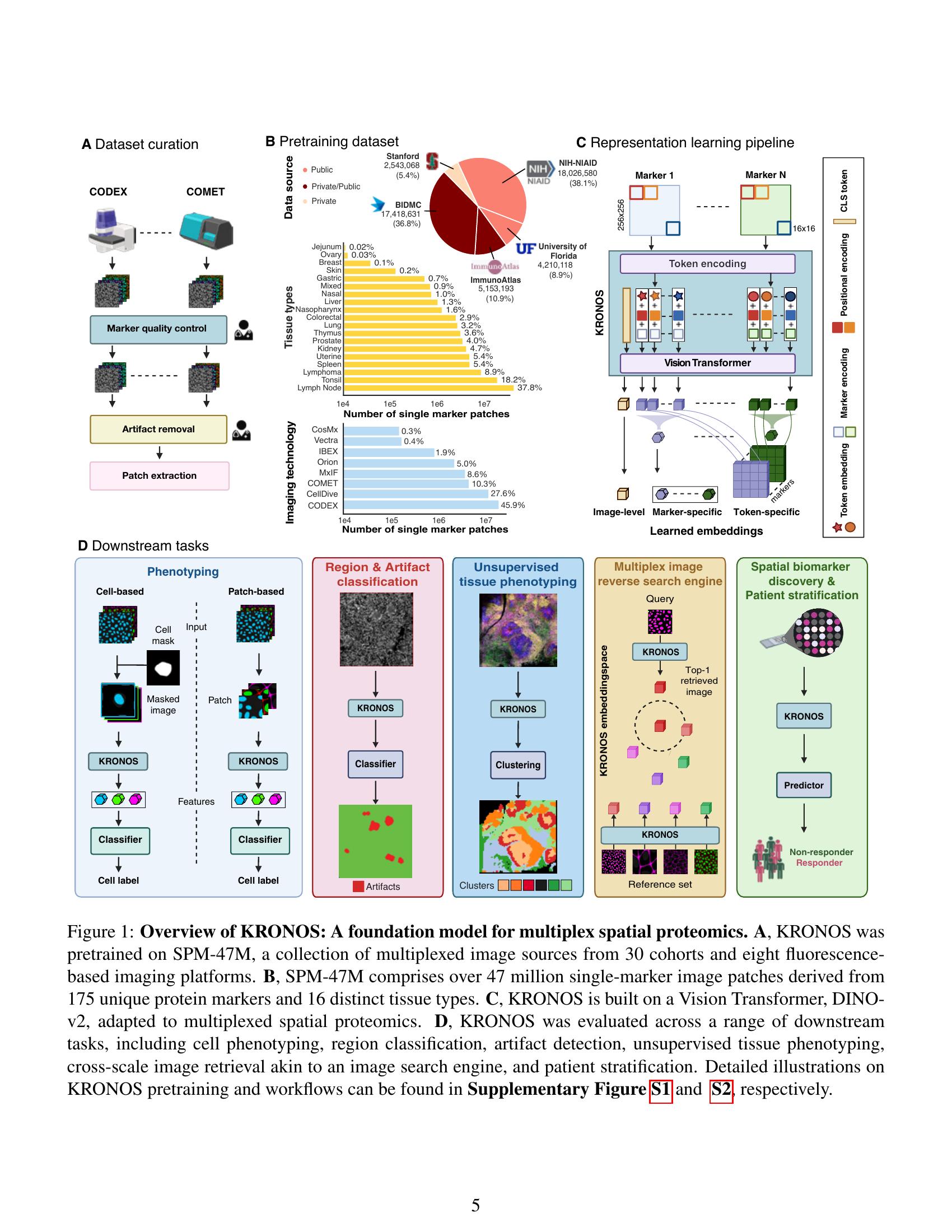 A Foundation Model for Spatial Proteomics - 智源社区论文