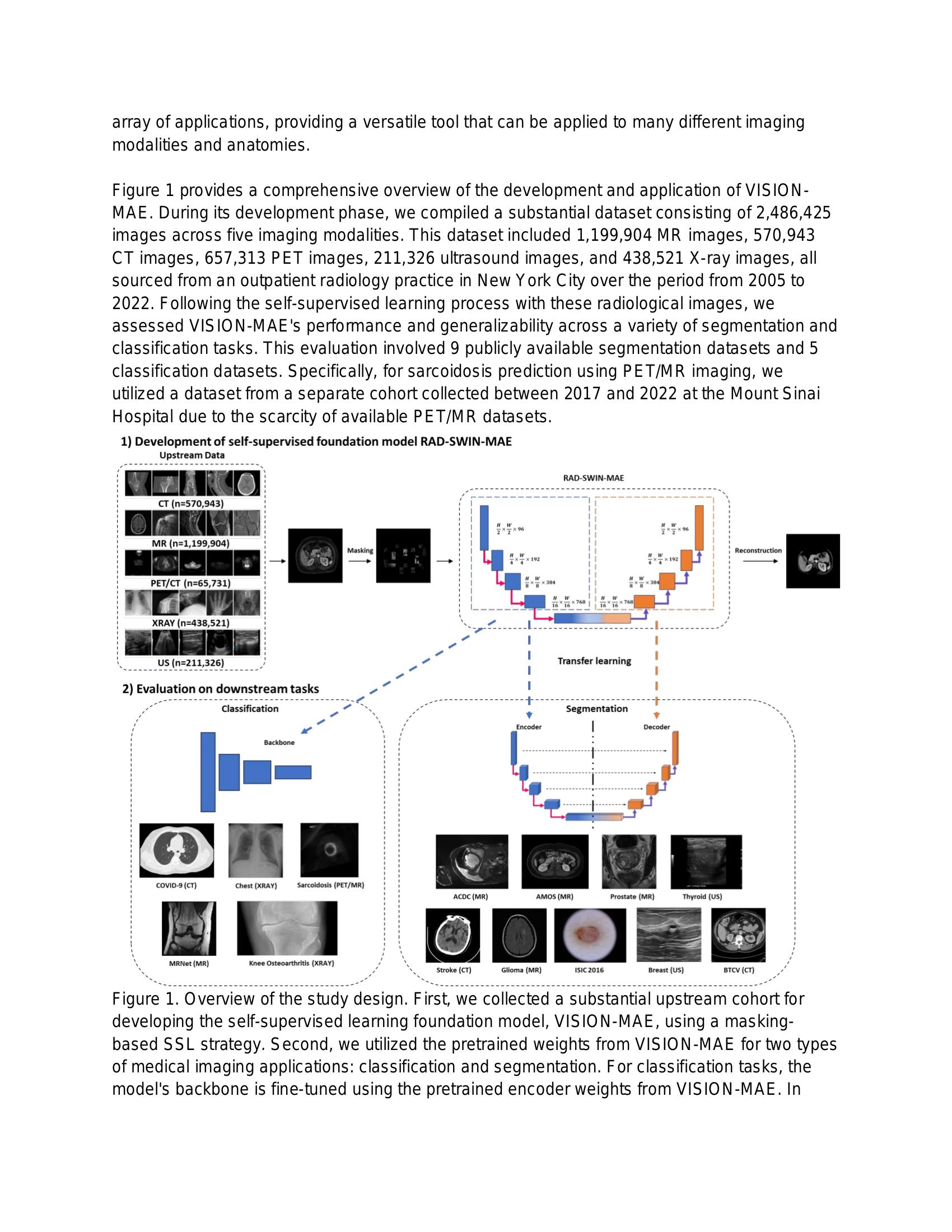 VISION-MAE: A Foundation Model for Medical Image Segmentation and ...