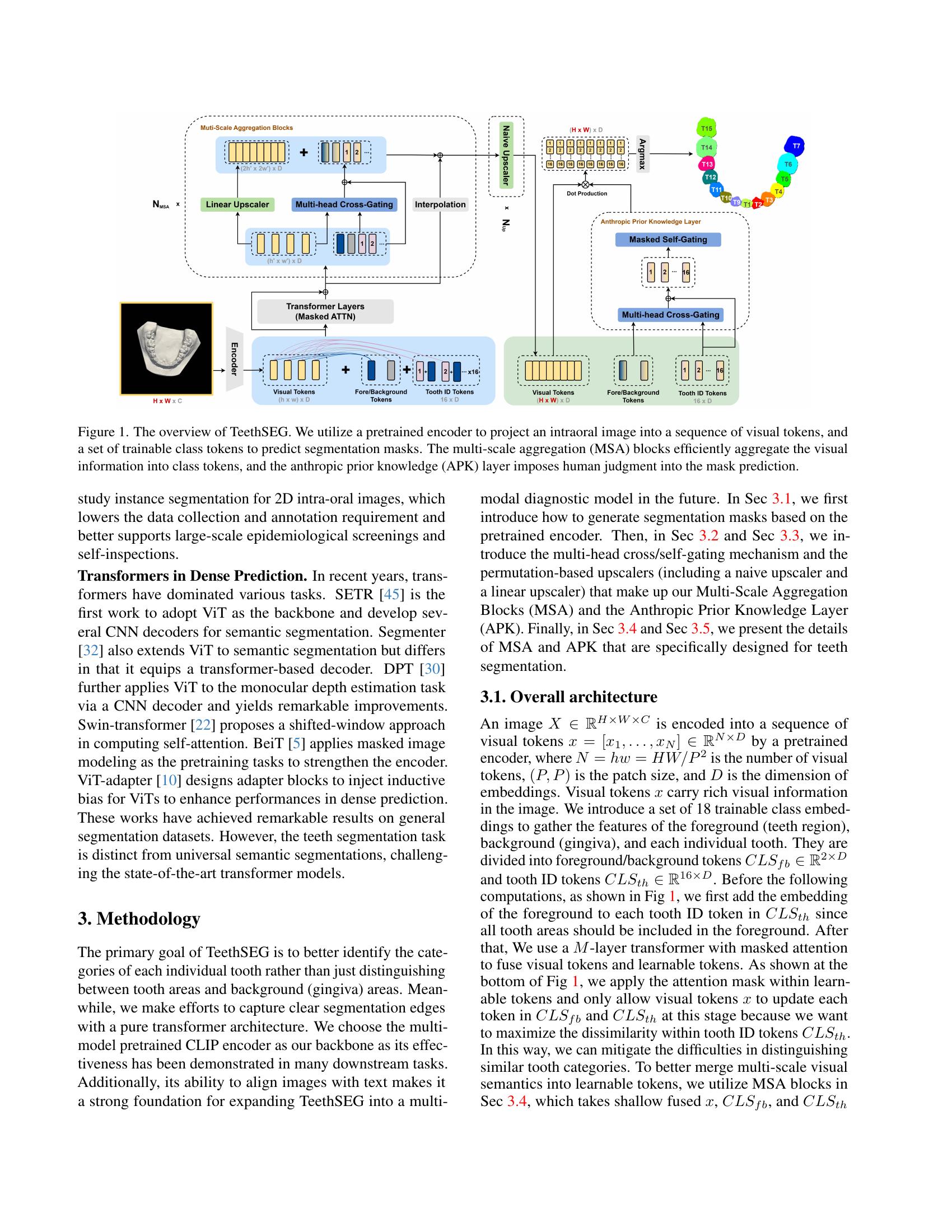 Teeth-SEG: An Efficient Instance Segmentation Framework for Orthodontic Treatment based on ...